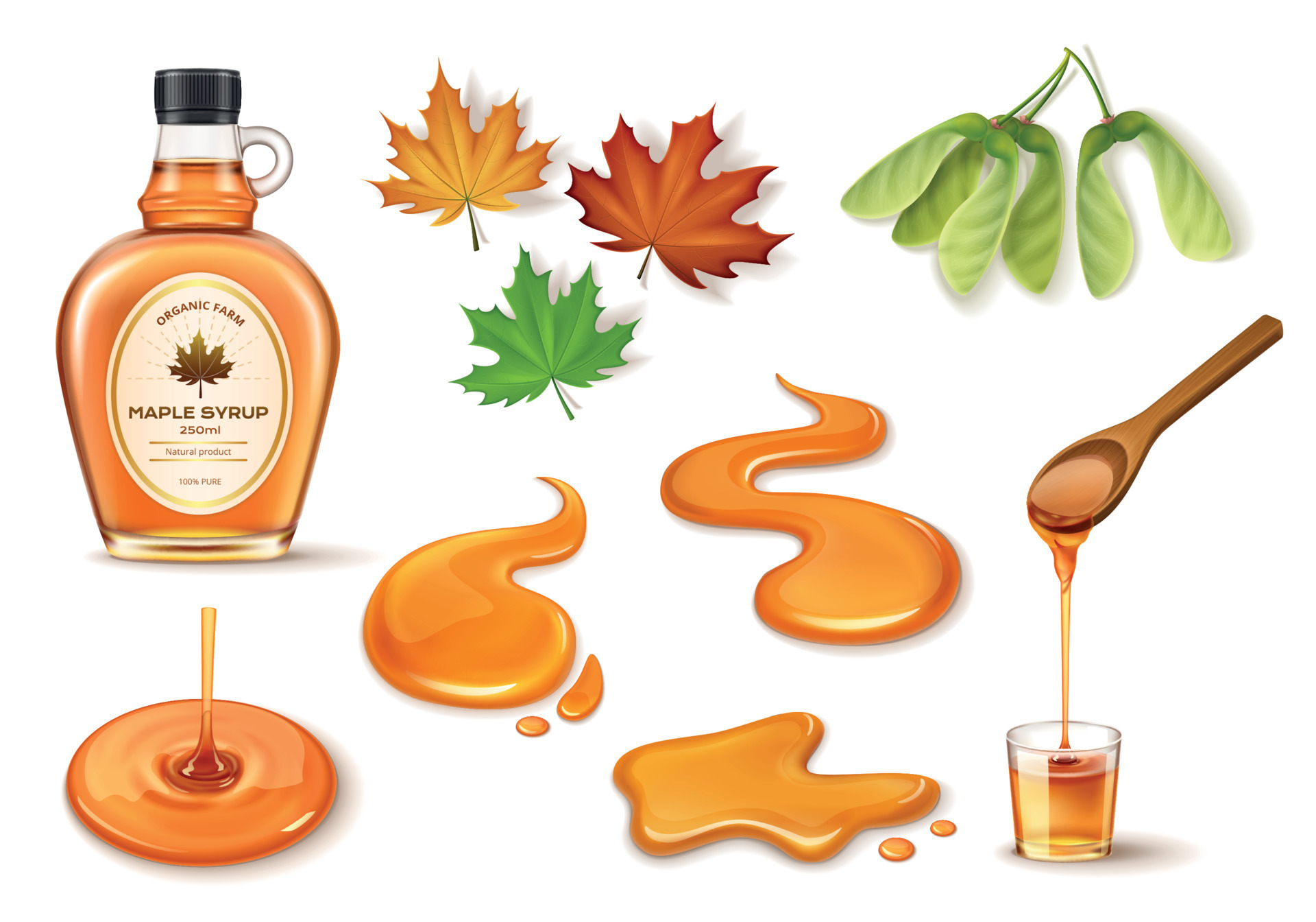 Maple Syrup Set 8131935 Vector Art At Vecteezy