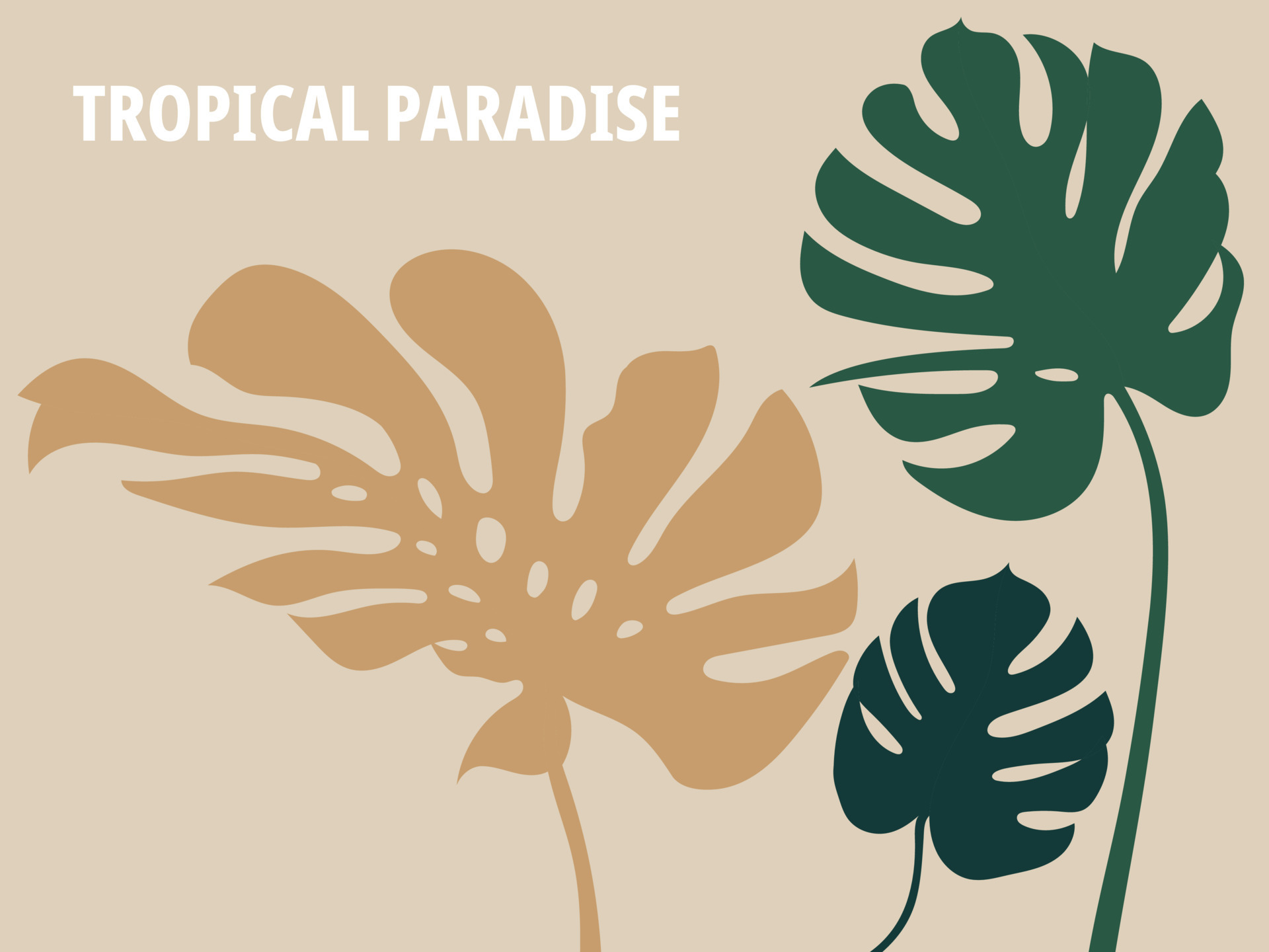 monstera grande verde selva hoja único tropical 8142081 Vector en Vecteezy