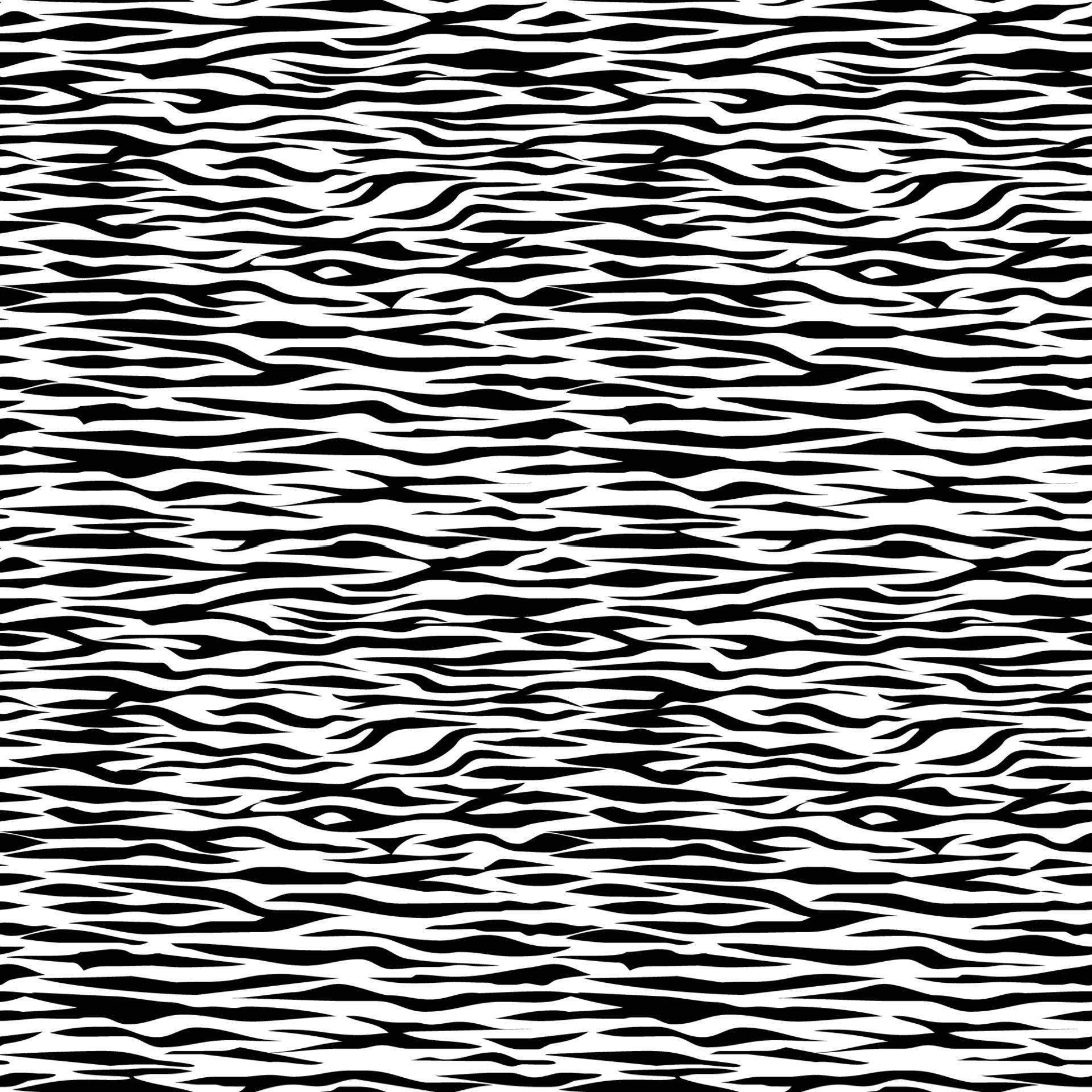 Zebra seamless repeat print pattern 8162895 Vector Art at Vecteezy