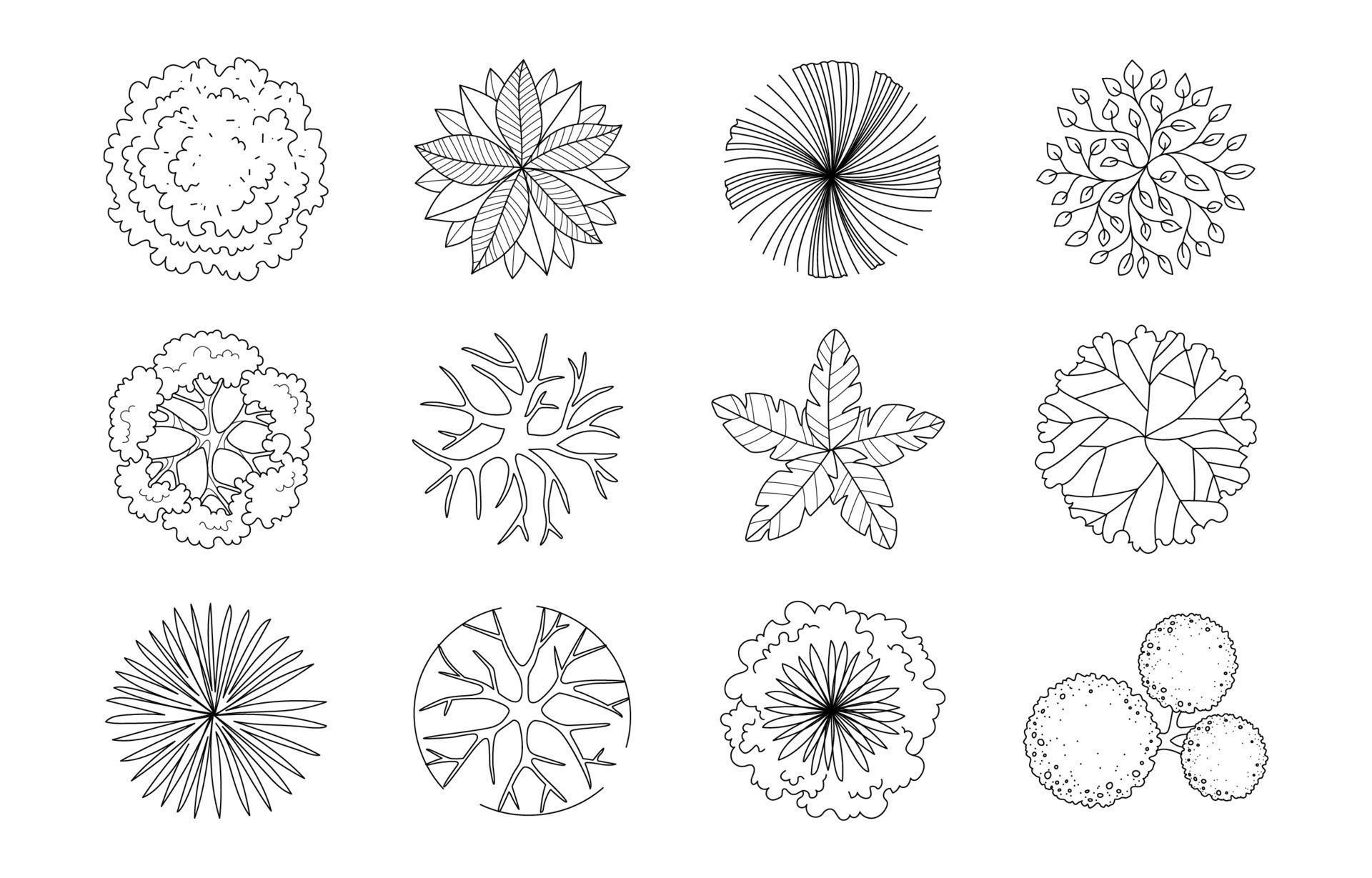 Architecture Tree Top View Line Symbol 8167687 Vector Art at Vecteezy