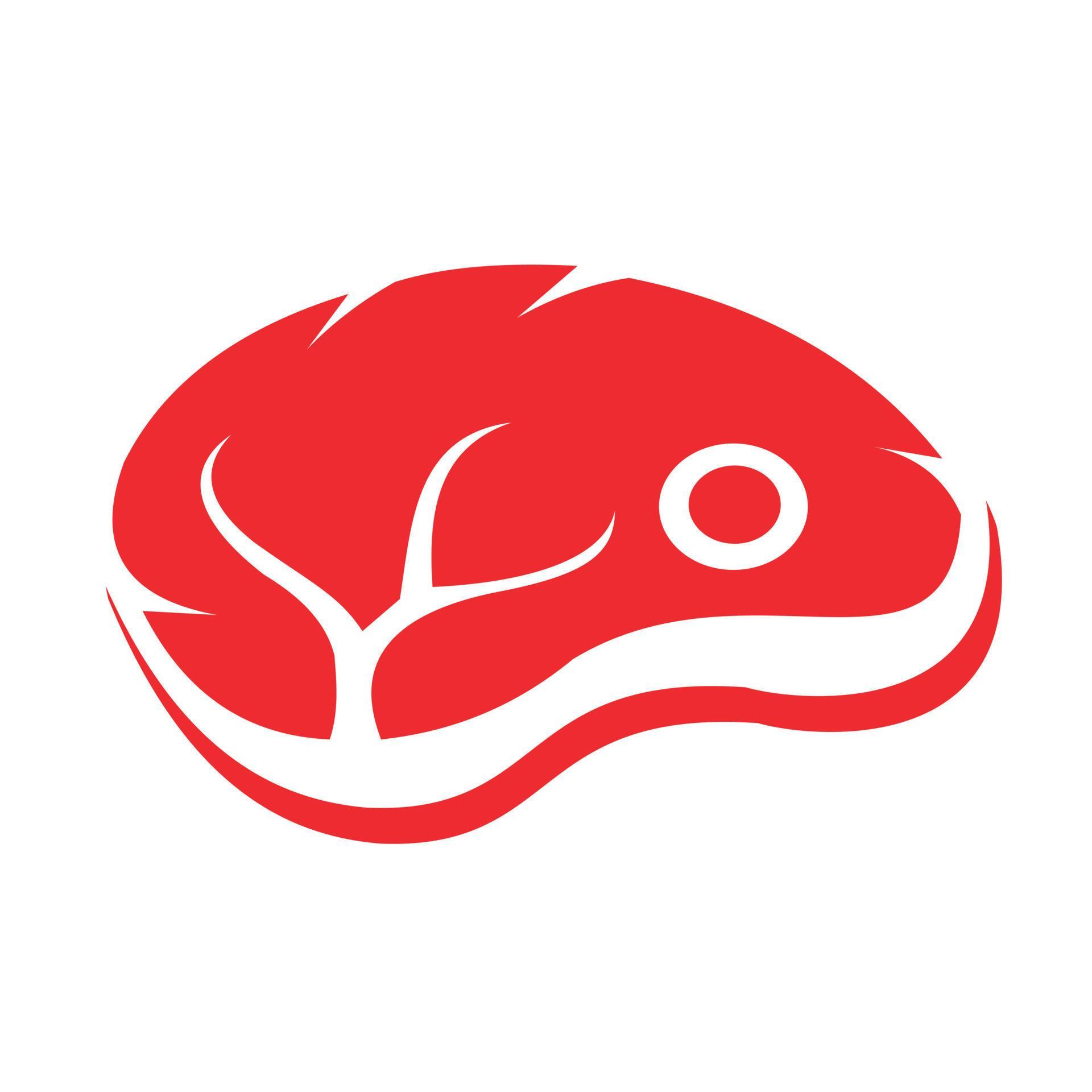 Vector Meat Background Beef Pork Lamb Butcher Editable Vector