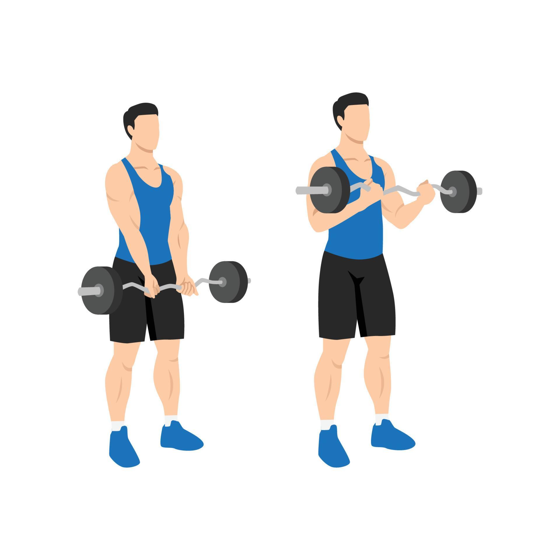 Man Doing Ez Barbell Curl Flat Vector Illustration Isolated On