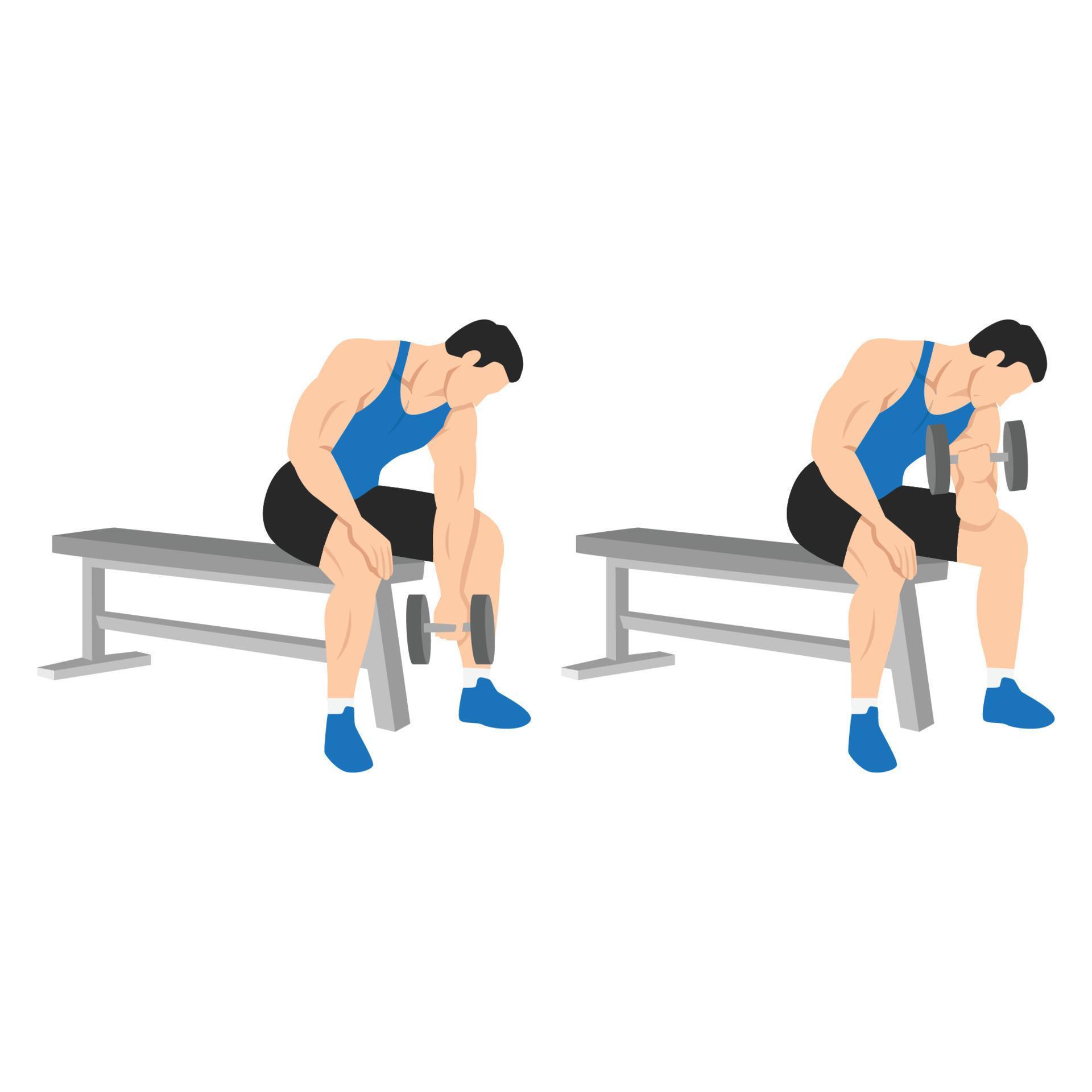 Man Doing Dumbbell Concentration Curl Flat Vector Illustration