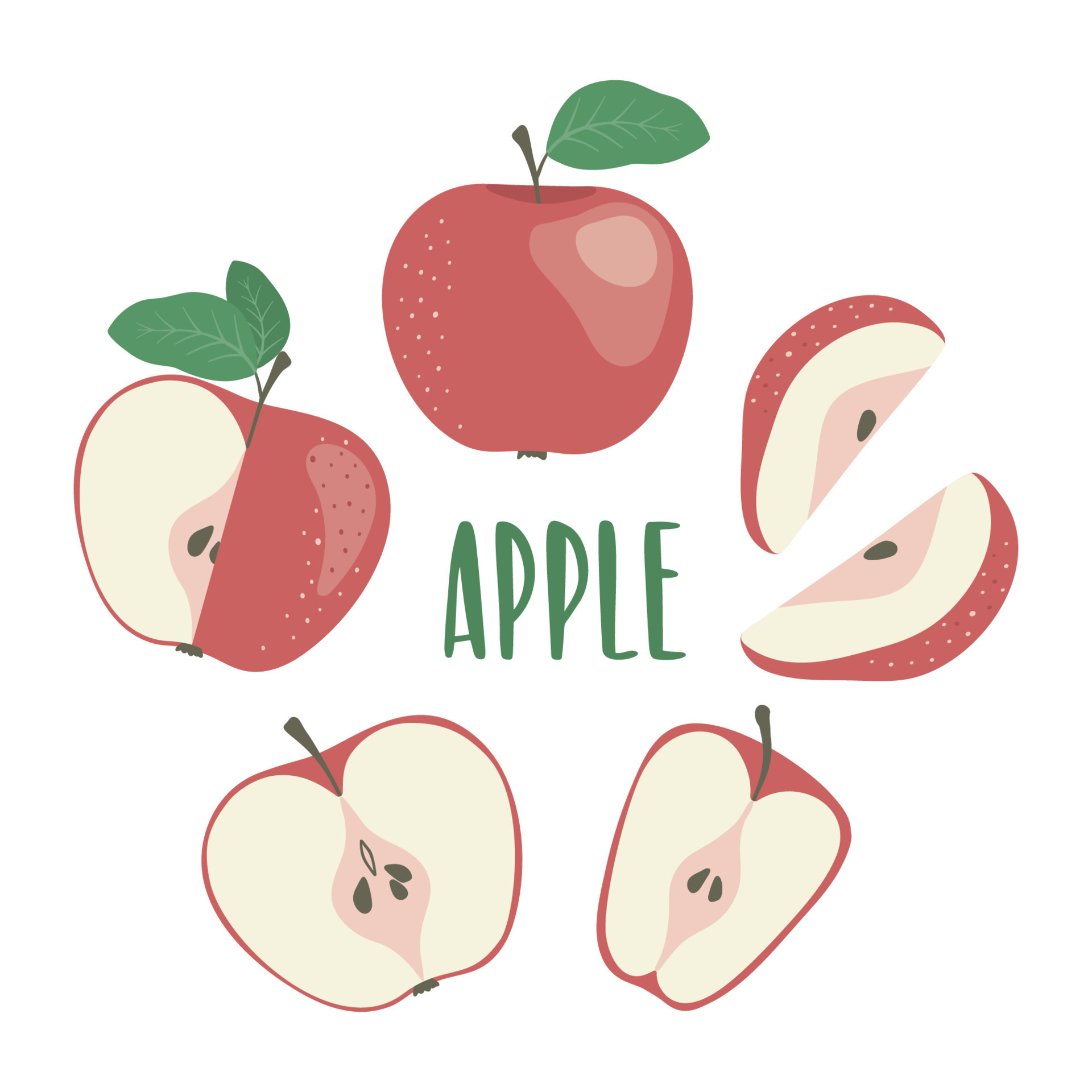 Red Apple Hand Drawn Illustration Set With Lettering Isolated On White