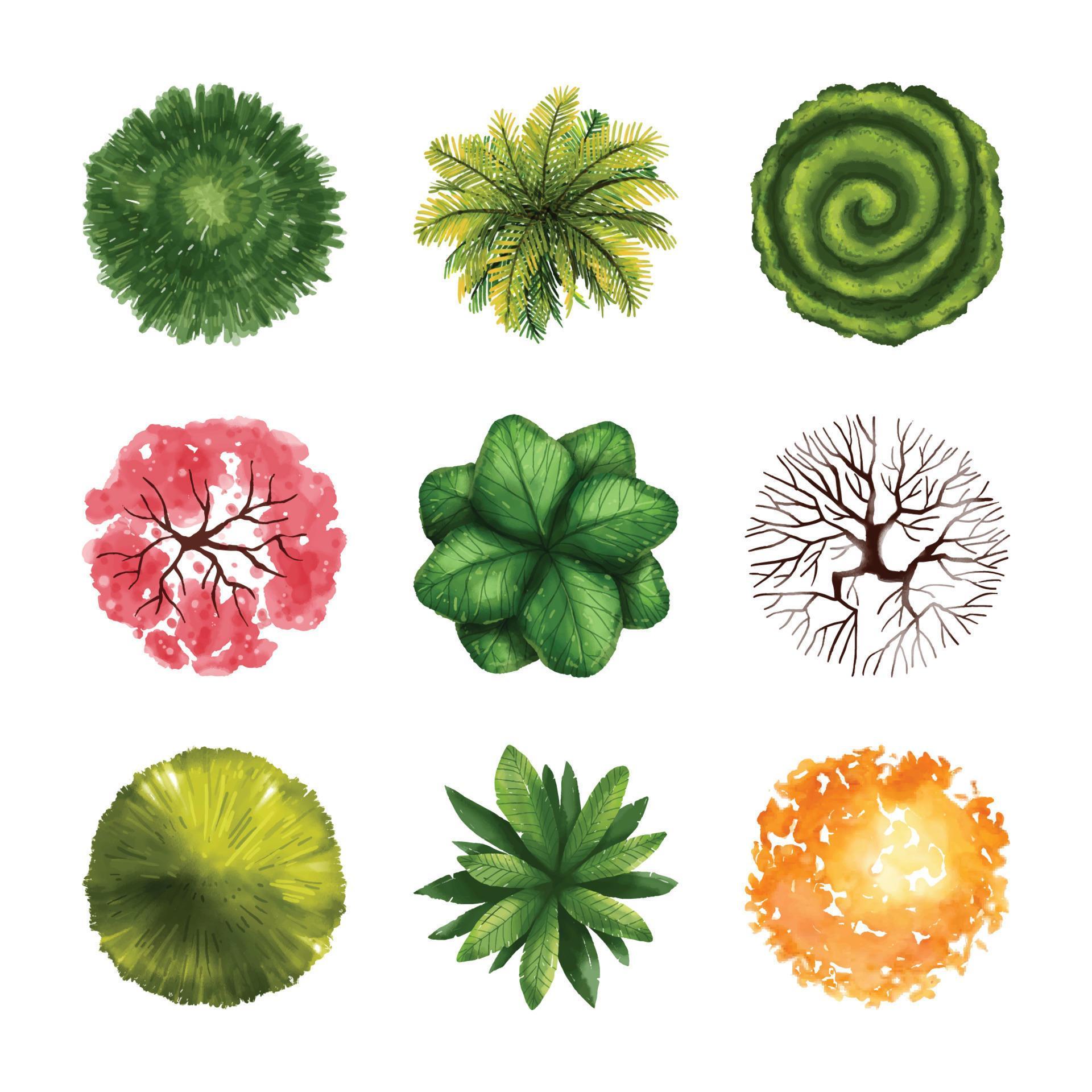 Full Color Architecture Tree Plan Top View Set 8285819 Vector Art at ...