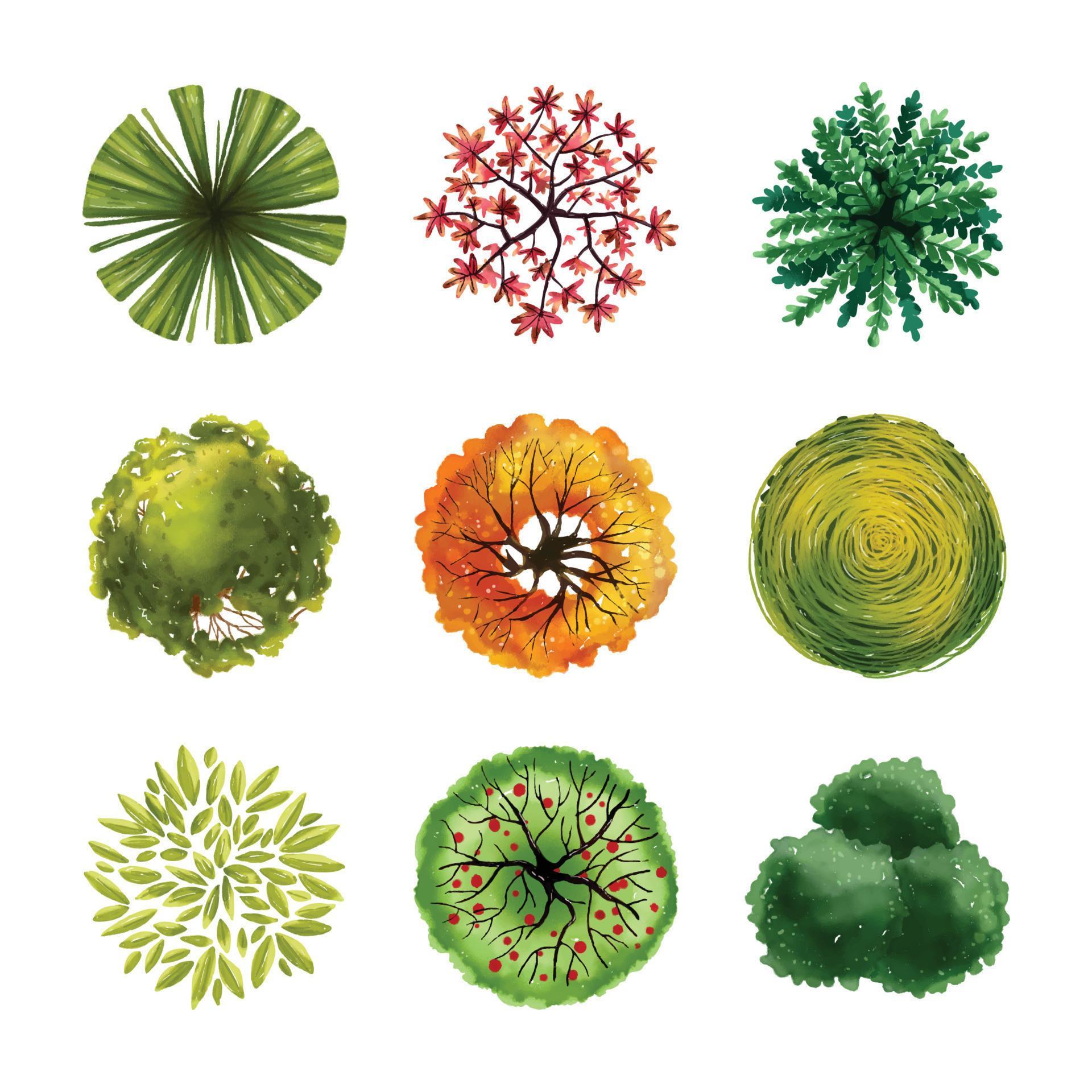 Full Color Architecture Tree Plan Top View Collection 8315377 Vector ...