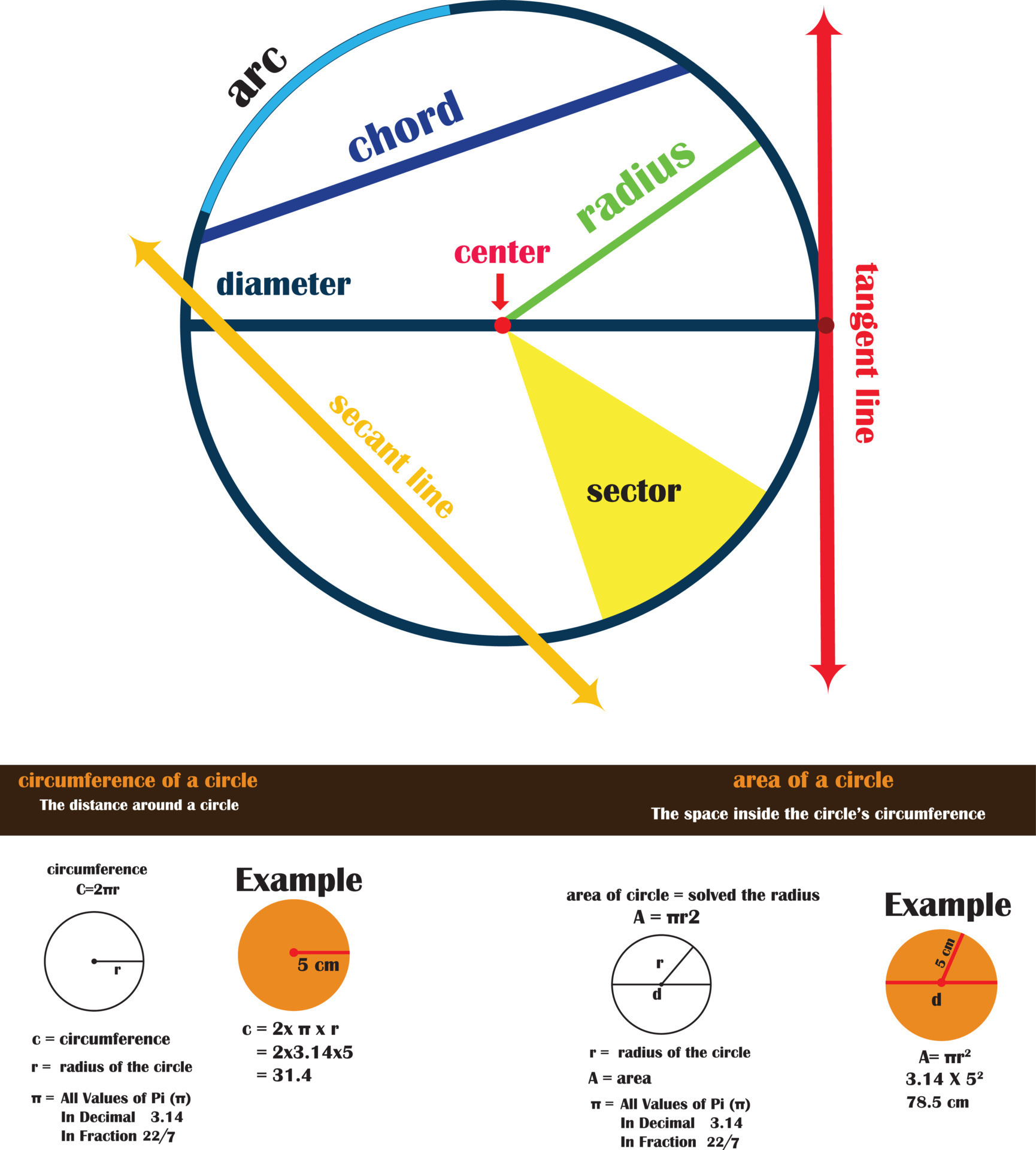 Diagram Labeled Parts Of A Circle Circle Parts Circles Techn