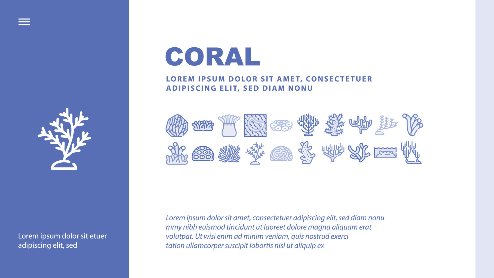 Coral Sea Aquatic Reef Landing Header Vector 8371253 Vector Art at Vecteezy