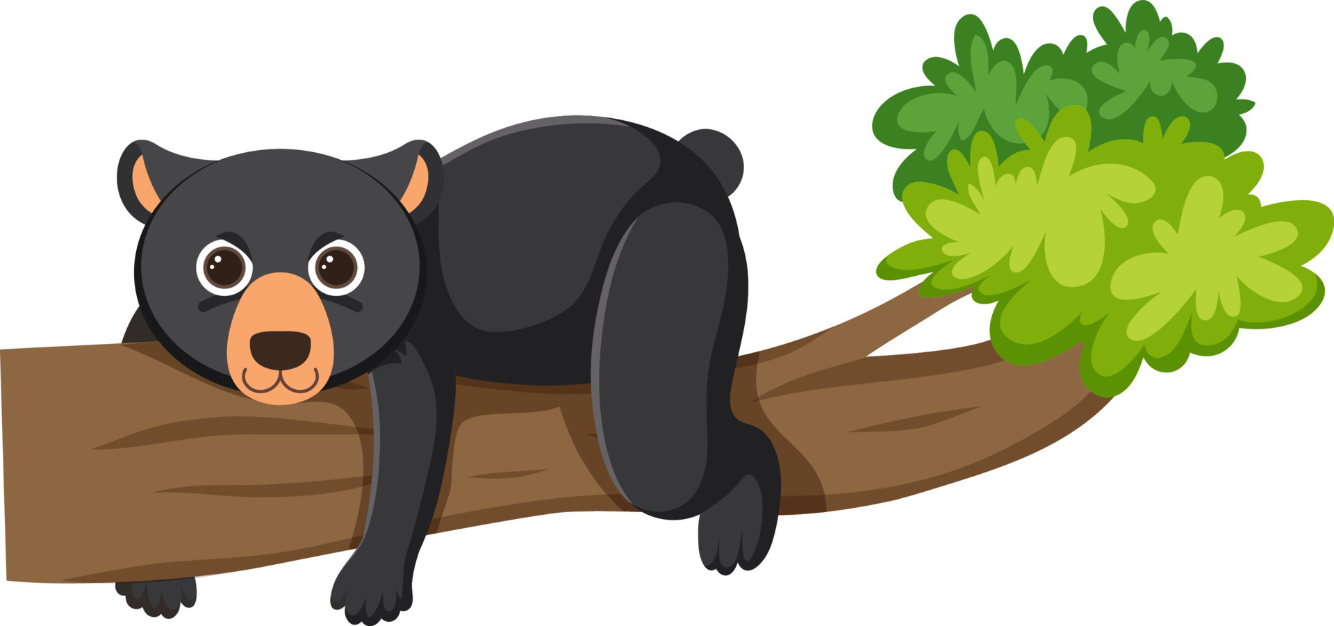 Black bear lying on tree 8386993 Vector Art at Vecteezy