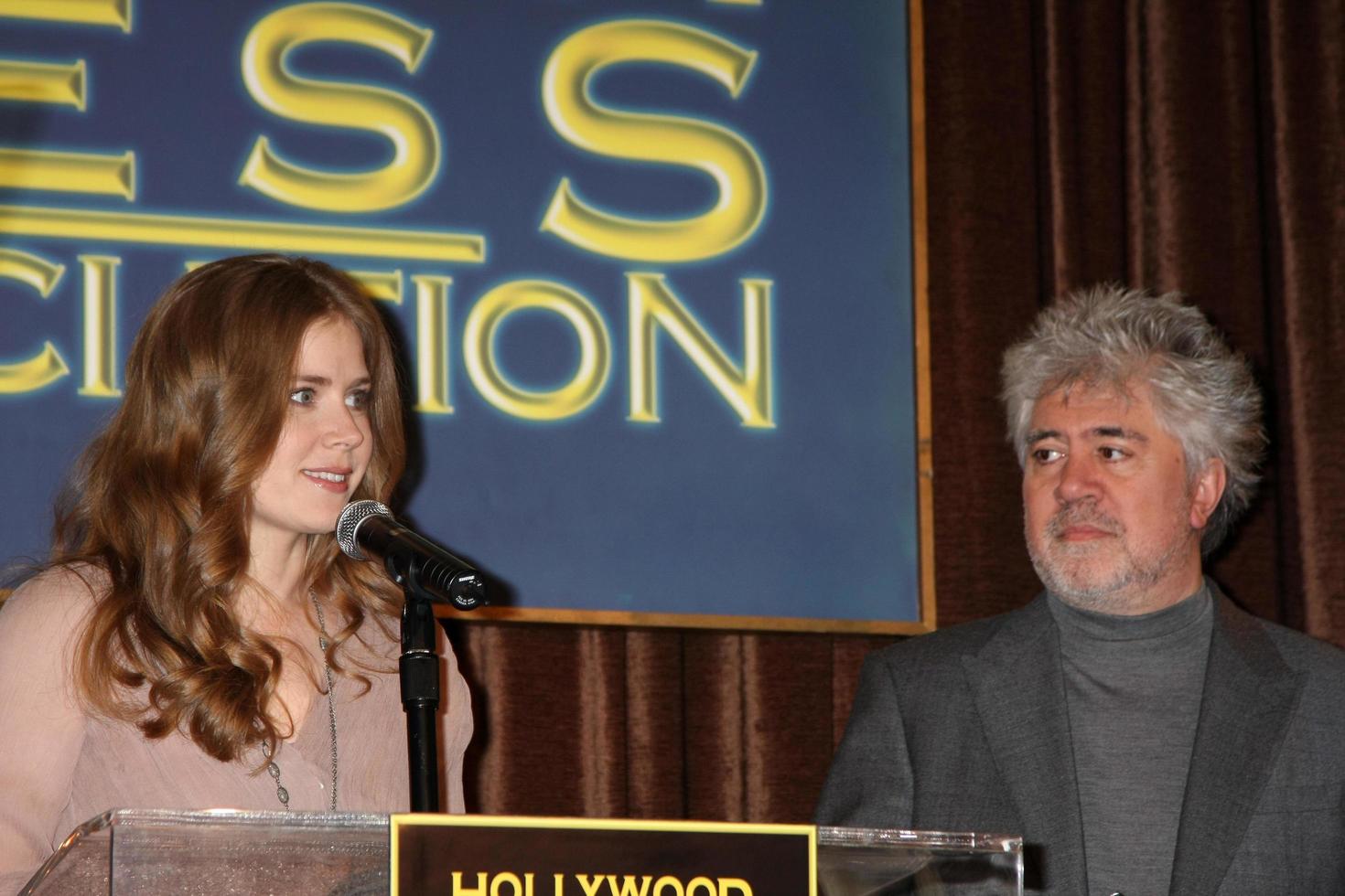 LOS ANGELES, NOV 9 - Amy Adams, Pedro Almodovar at the CECIL B. DEMILLE ... LOS ANGELES, NOV 9 - Amy Adams, Pedro Almodovar at the CECIL B. DEMILLE ...