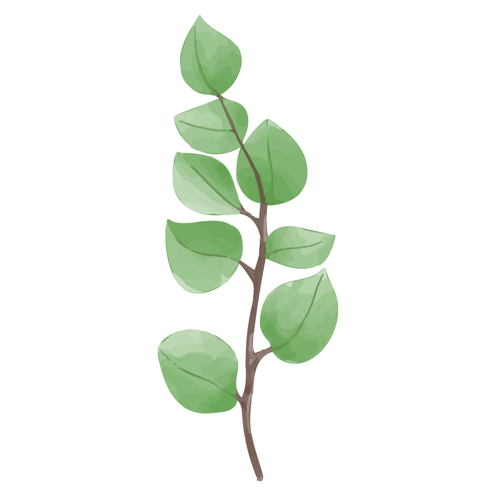 Watercolor Leaf, Green leaves clipart 8475216 PNG Watercolor Leaf, Green leaves clipart 8475216 PNG
