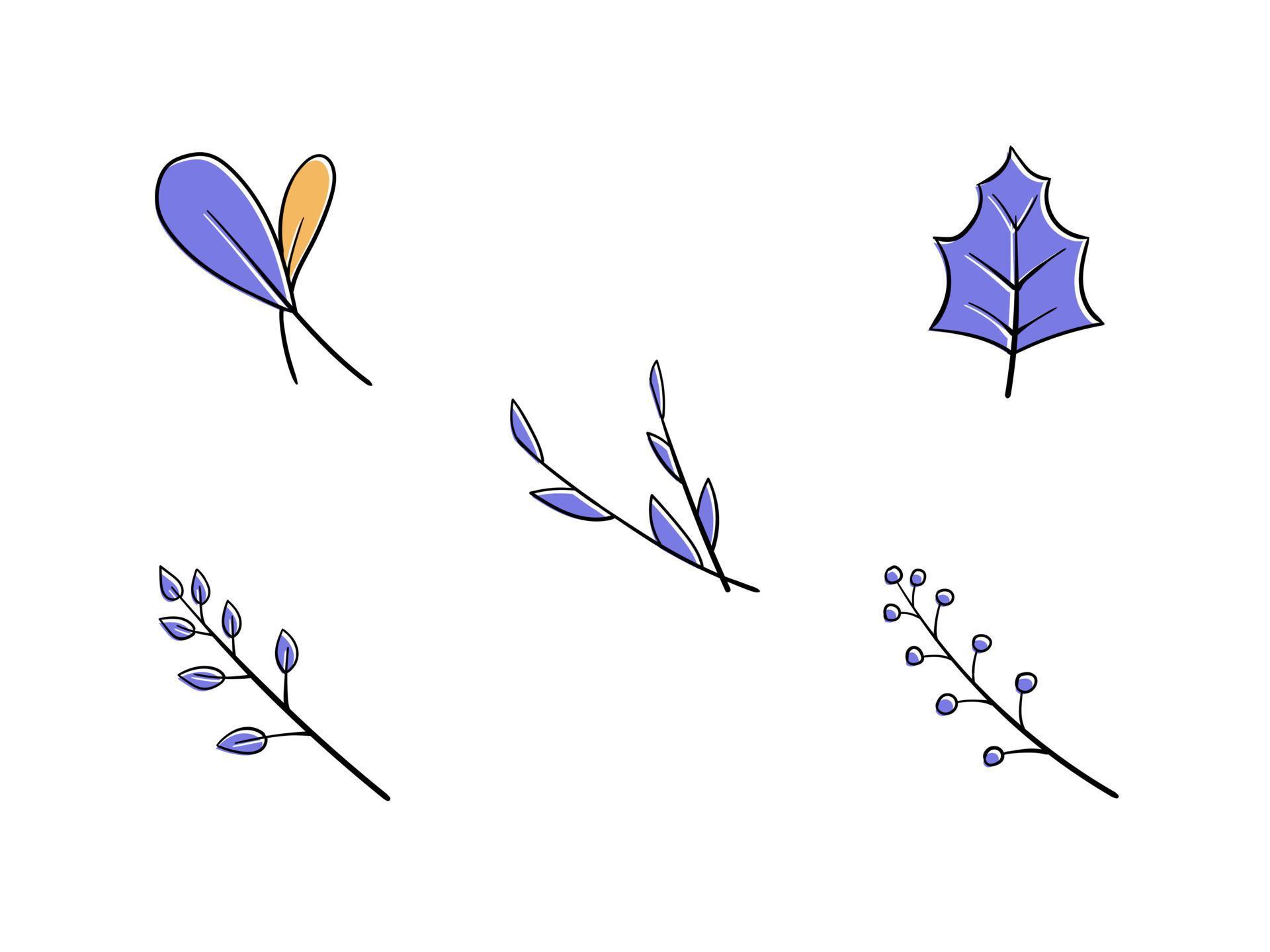 Hand Drawn Leaf Illustration Collection 8484919 Vector Art At Vecteezy