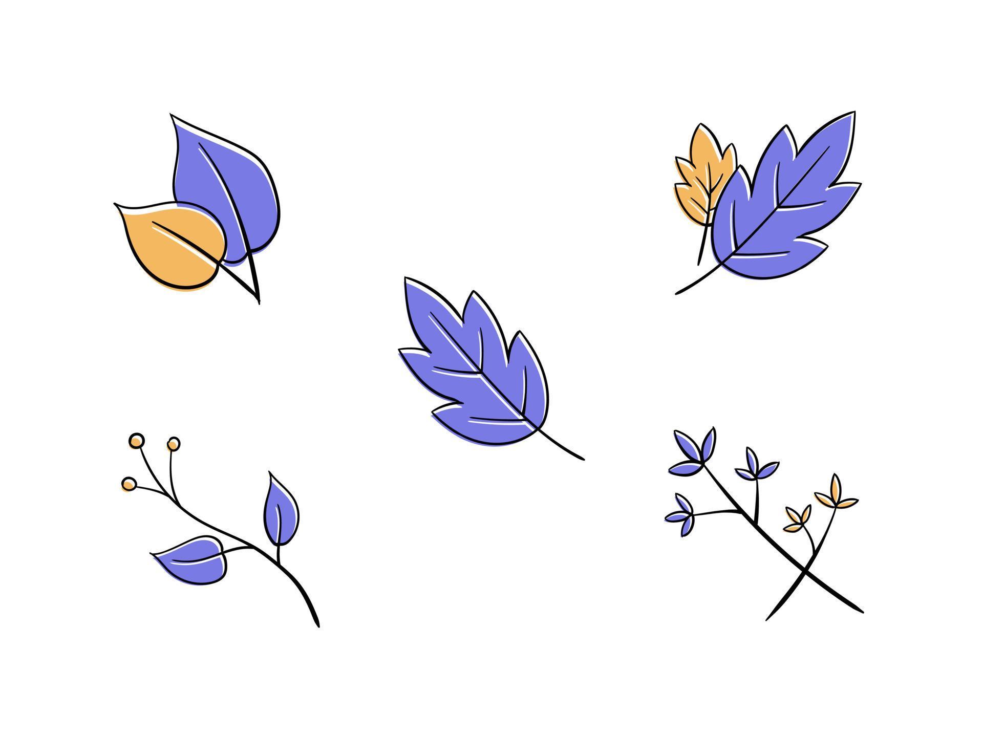 Hand Drawn Leaf Illustration Collection 8484930 Vector Art At Vecteezy