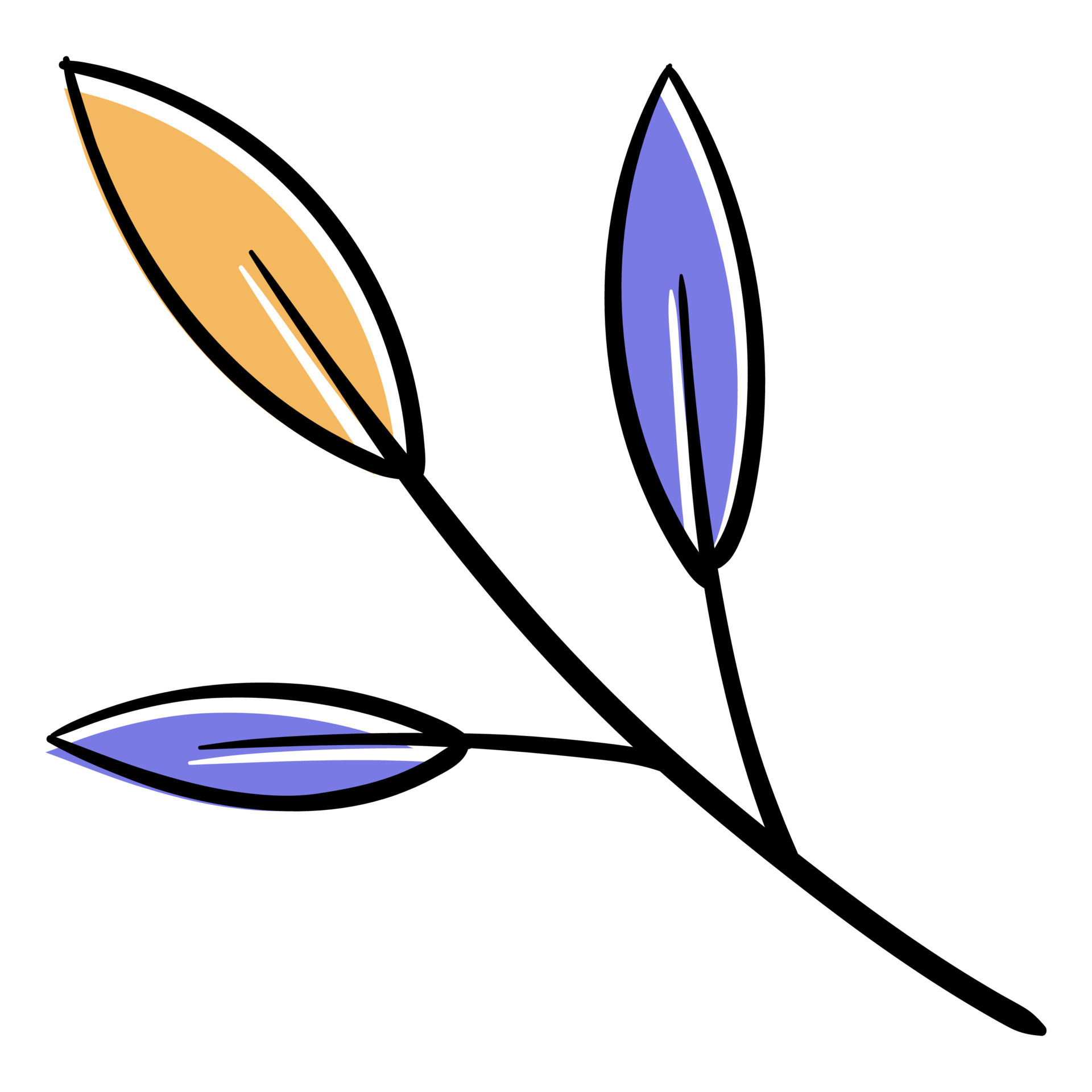 Hand Drawn Leaf Illustration 8484932 Vector Art At Vecteezy