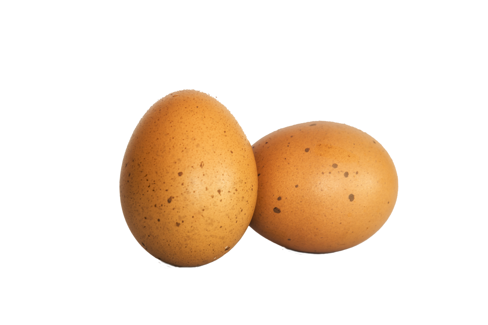 Egg On Isolated Background Clipping Path 8508371 Png