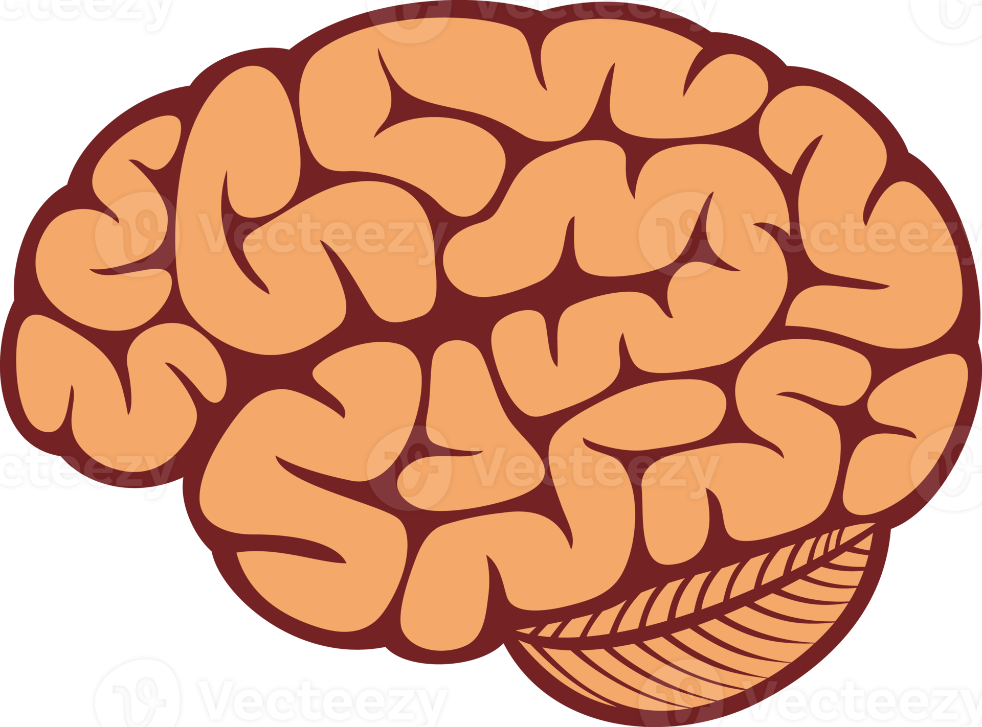 The Human Brain Png Illustration 8513565 Png