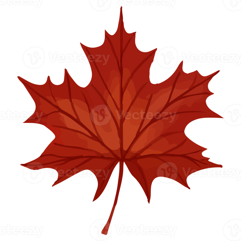 Watercolor Leaf, Autumn leaves clipart 8520010 PNG