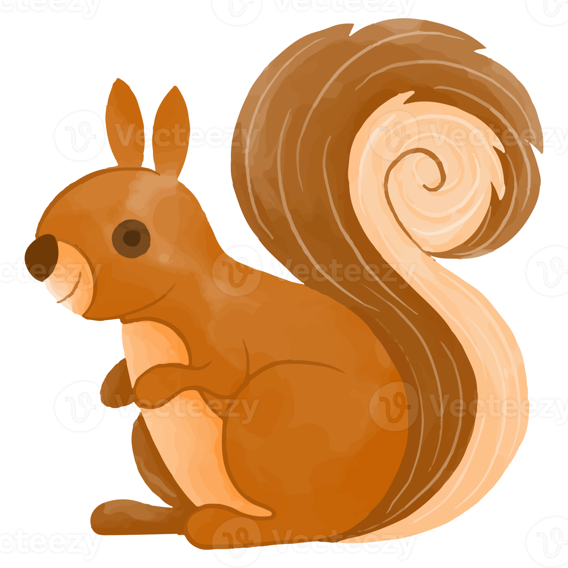 Watercolor Squirrel, Hand painted Animal decoration clipart 8520554 PNG