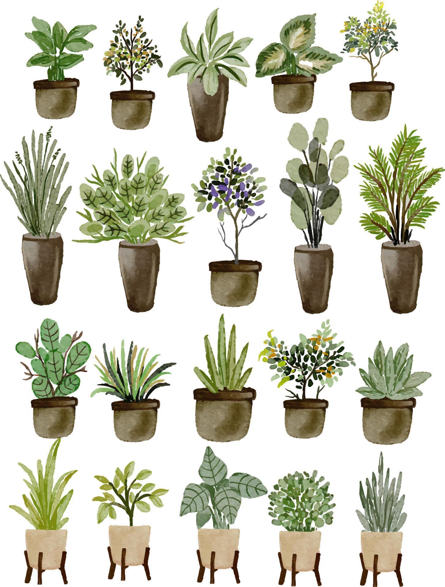 Set of Watercolor House Plants 8521715 Vector Art at Vecteezy