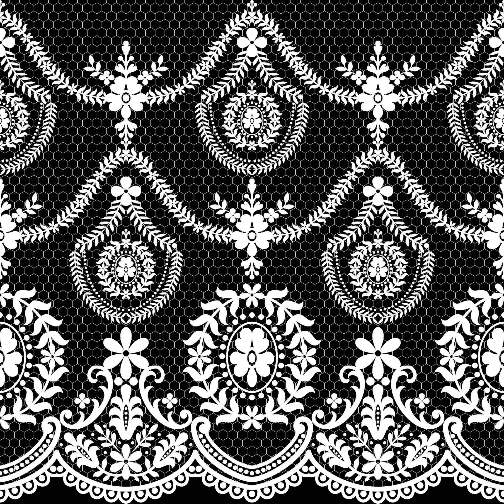 Lace seamless pattern with flowers 8543799 Vector Art at Vecteezy