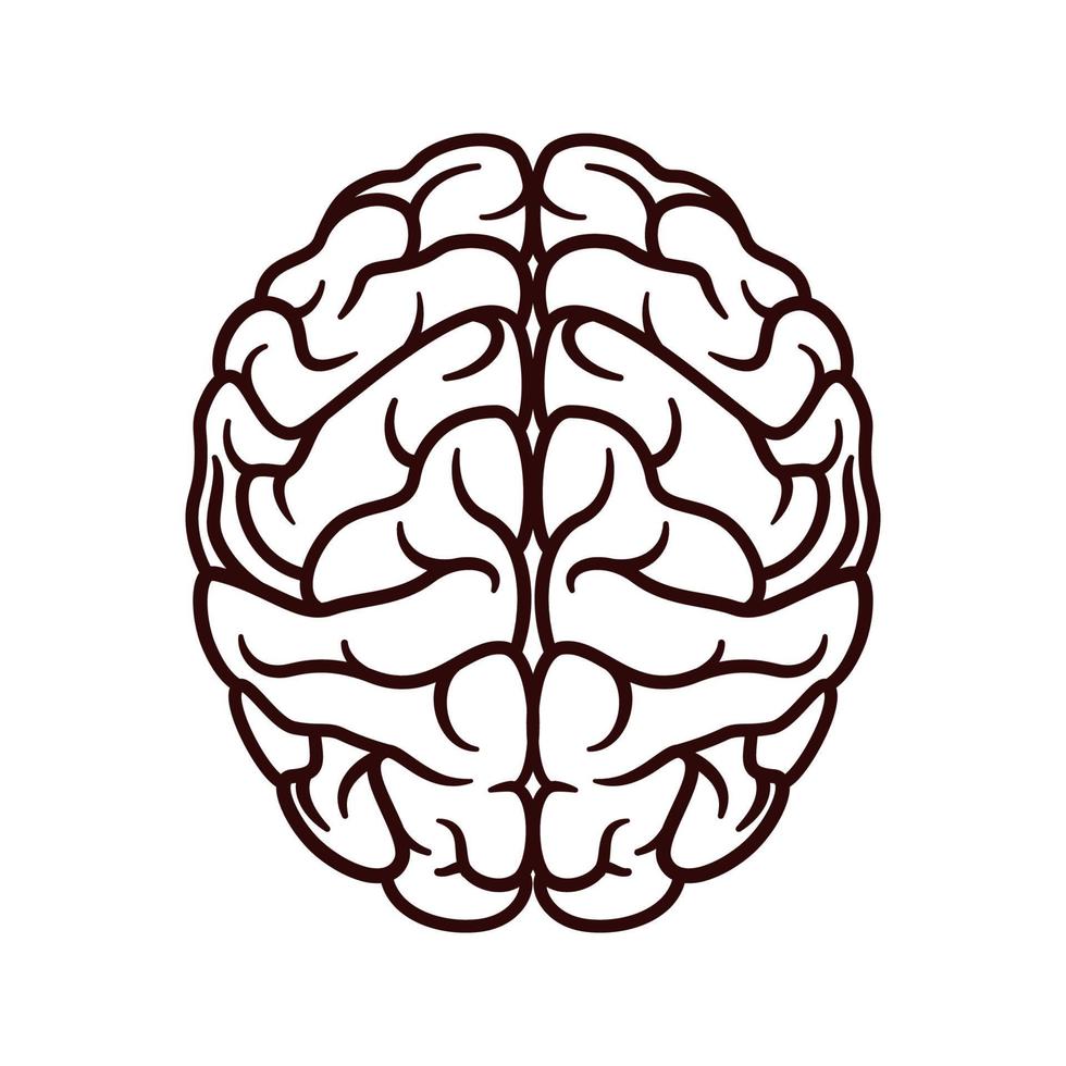 Human brain icon vector isolated 8547007 Vector Art at Vecteezy Human brain icon vector isolated 8547007 Vector Art at Vecteezy