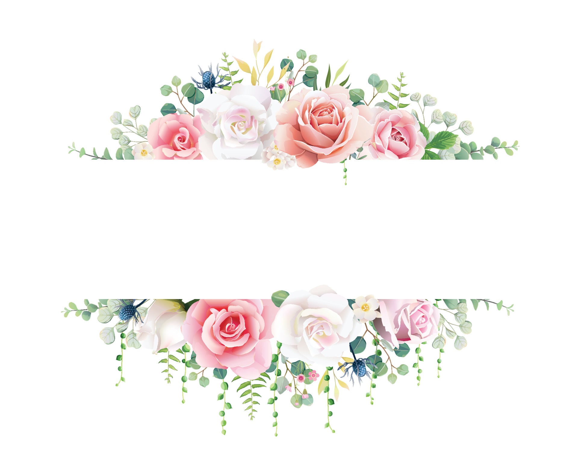 Pink and white rose with greenery banner on white background. Beautiful ... Pink and white rose with greenery banner on white background. Beautiful ...