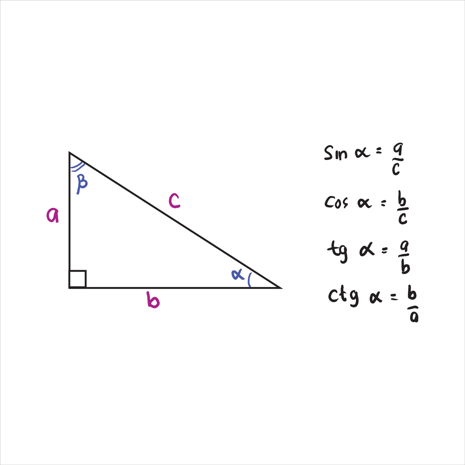 Sine Formula Triangle