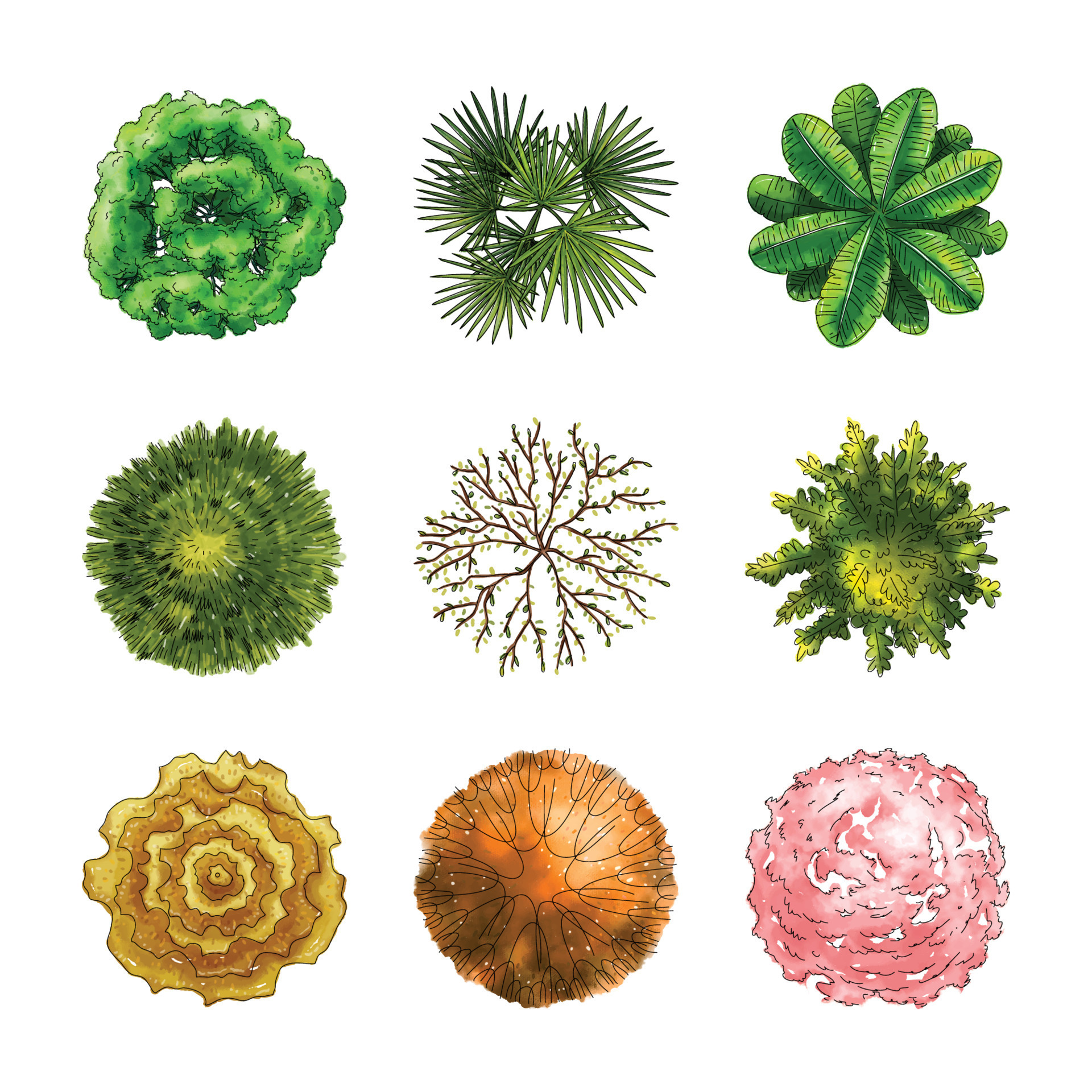 Architectural Watercolor Trees Top View