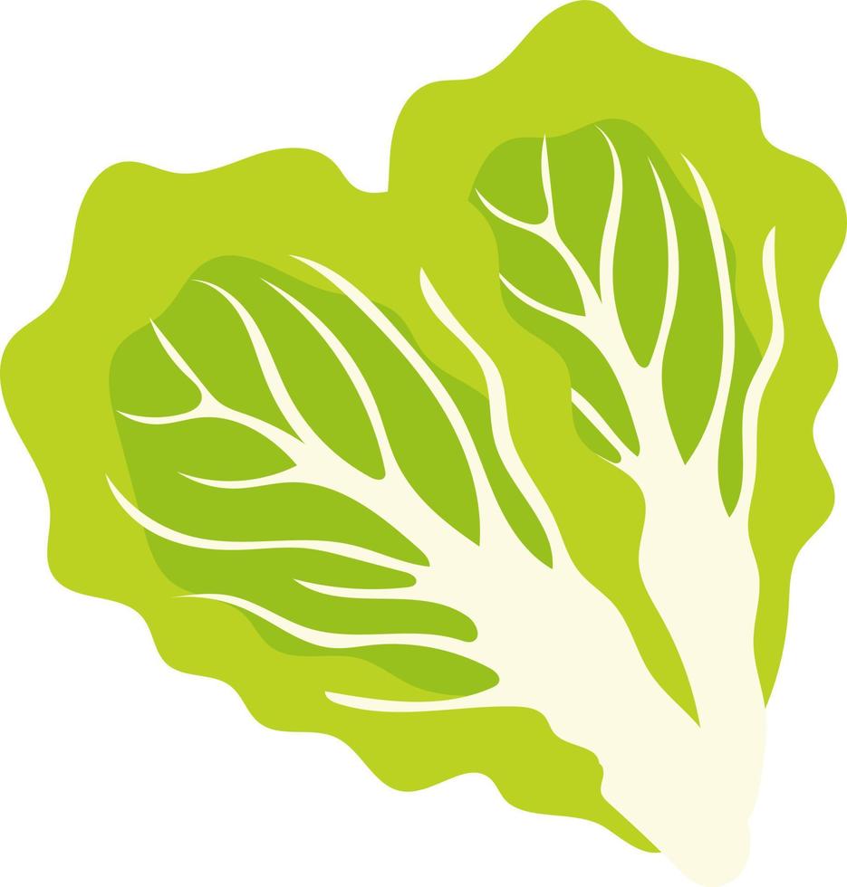 Heart Shaped Lettuce Leaves Semi Flat Color Vector Object 8652346