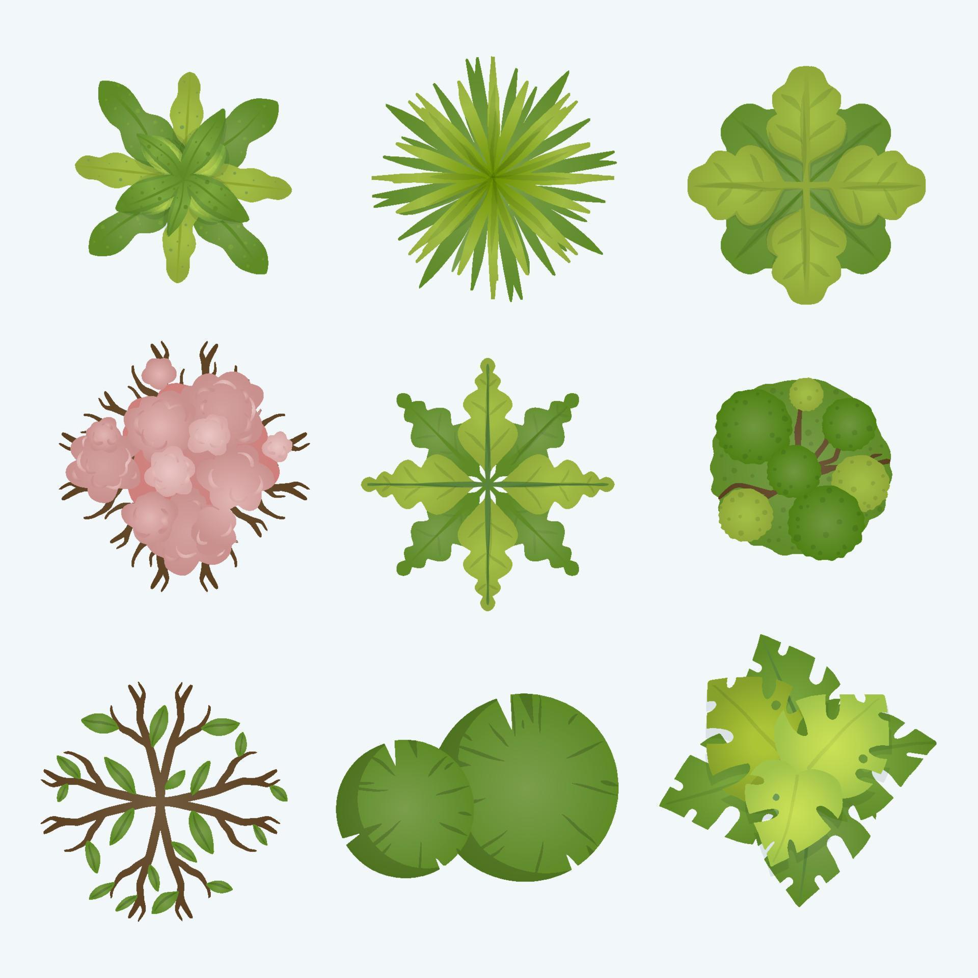 Architecture Tree Plans 8681078 Vector Art at Vecteezy