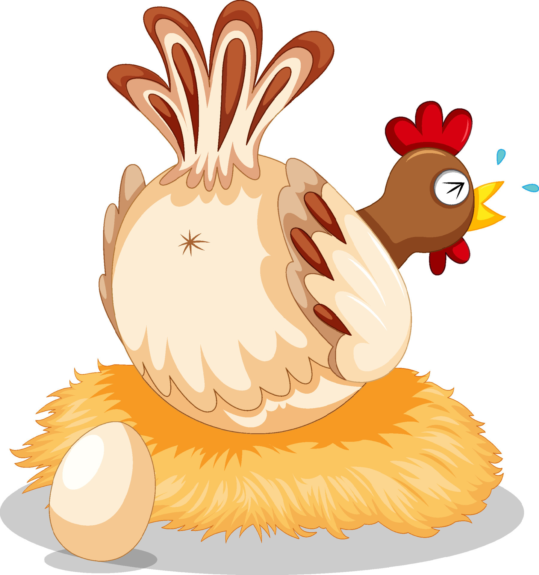 Chicken Laying Egg chicken-laying-egg