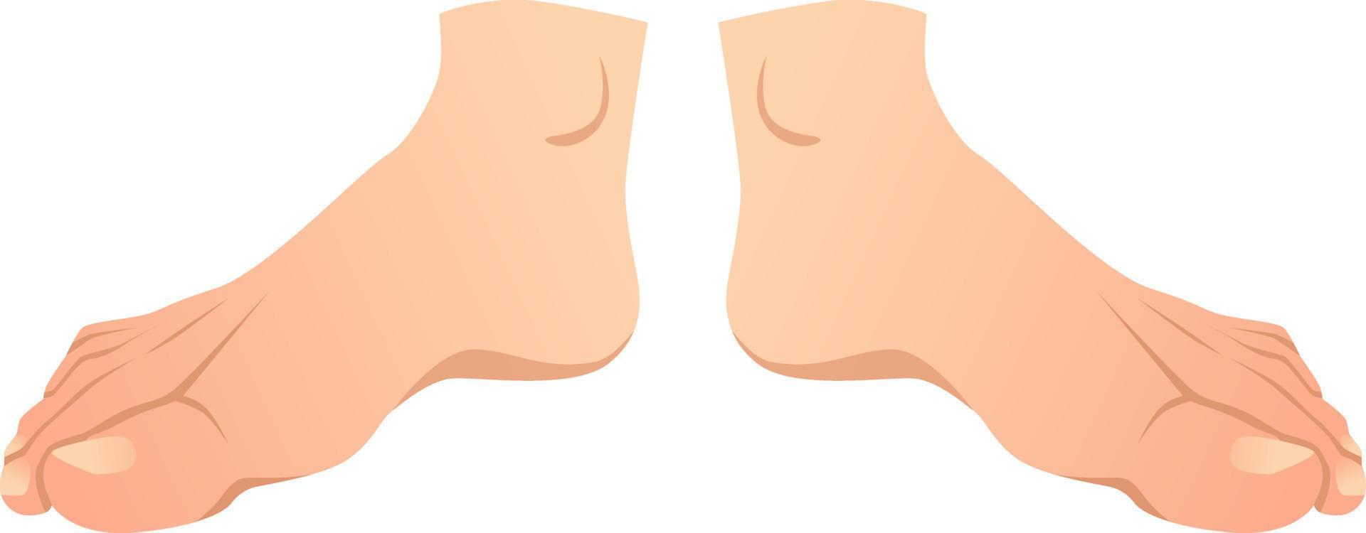 Realistic Human Foot 8720539 Vector Art At Vecteezy