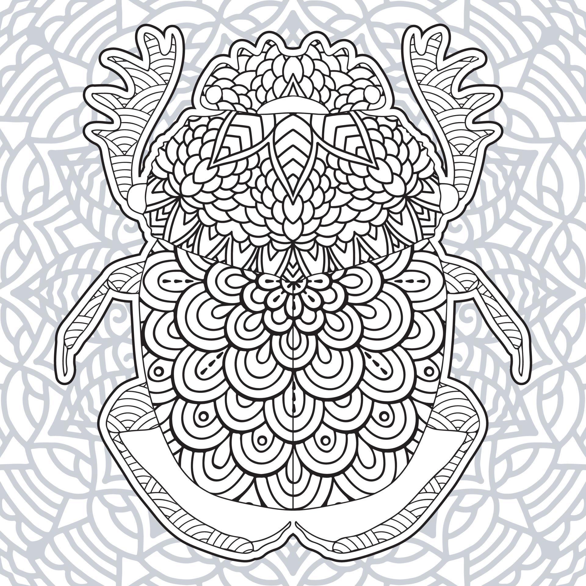 Insect Mandala coloring pages. 8772347 Vector Art at Vecteezy