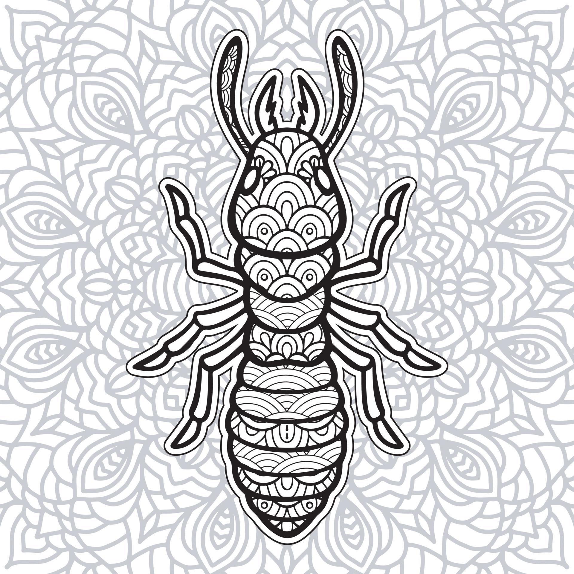 Insect Mandala coloring pages. 8772593 Vector Art at Vecteezy