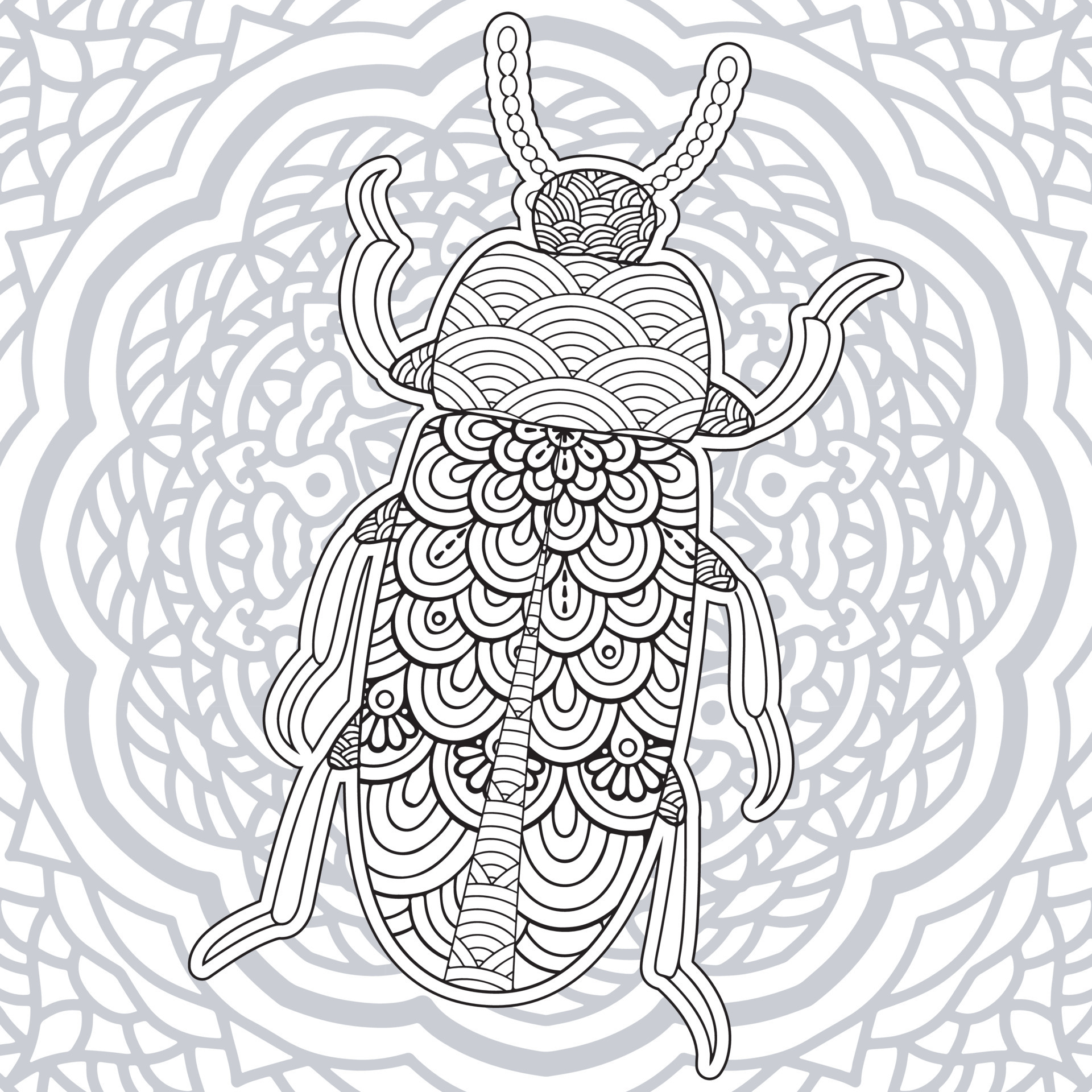 Insect Mandala coloring pages. 8773480 Vector Art at Vecteezy