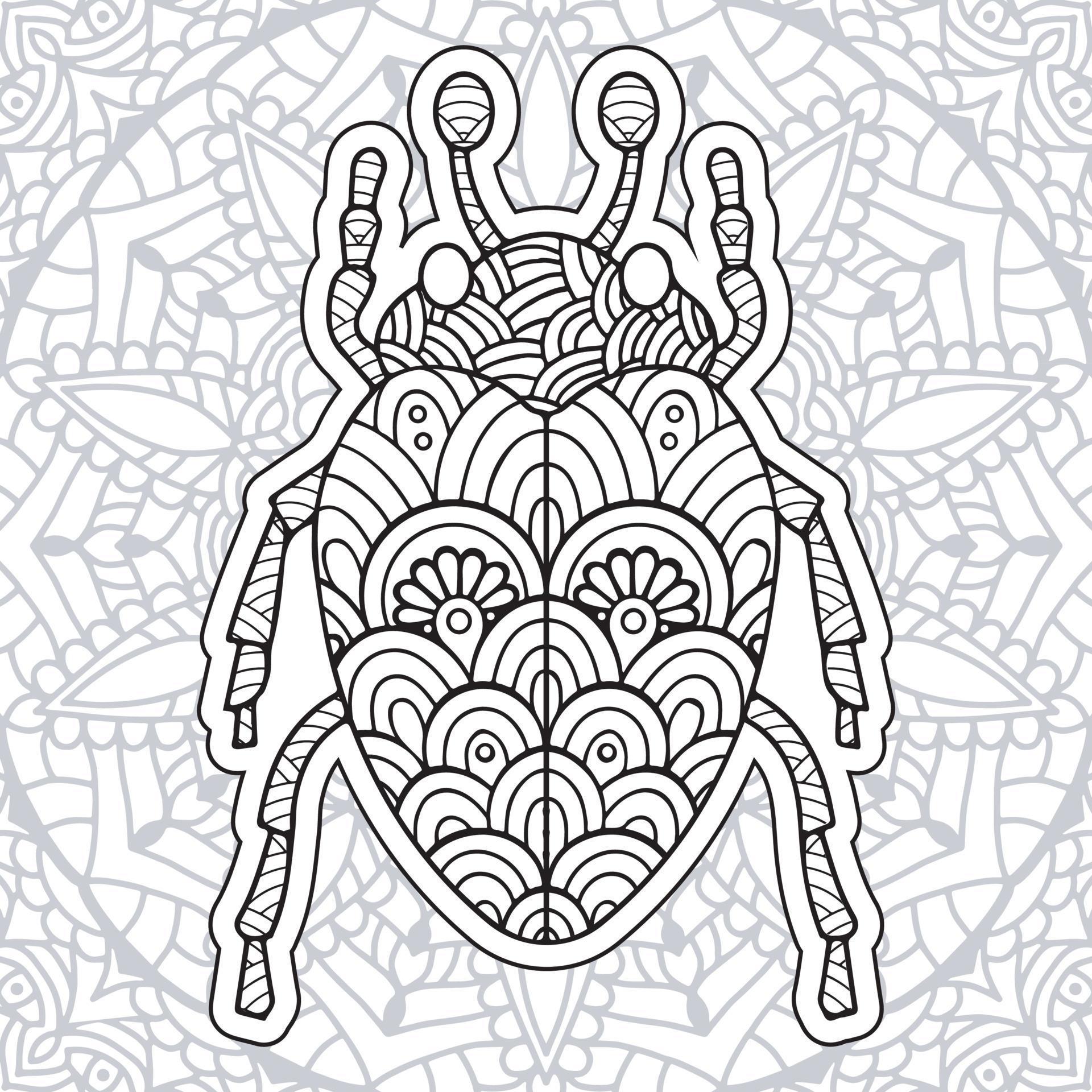 Insect Mandala coloring pages. 8773484 Vector Art at Vecteezy