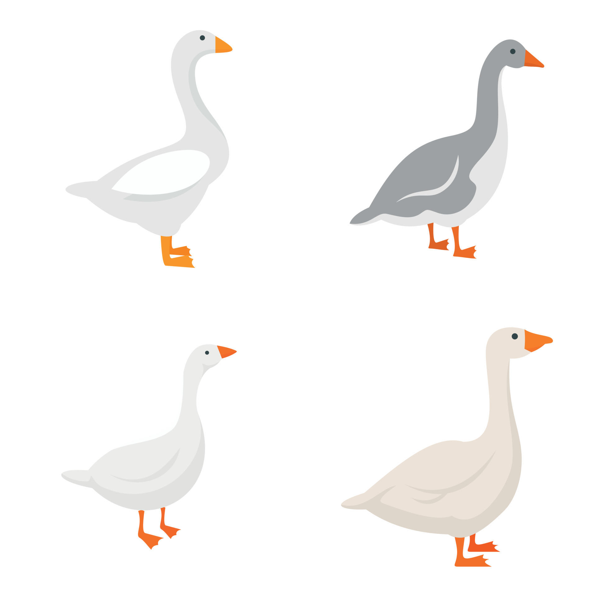 Goose icons set, flat style 8791803 Vector Art at Vecteezy