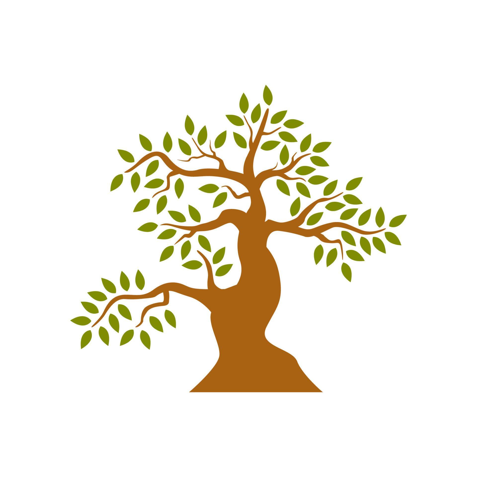 Tree isolated on white background 8827560 Vector Art at Vecteezy