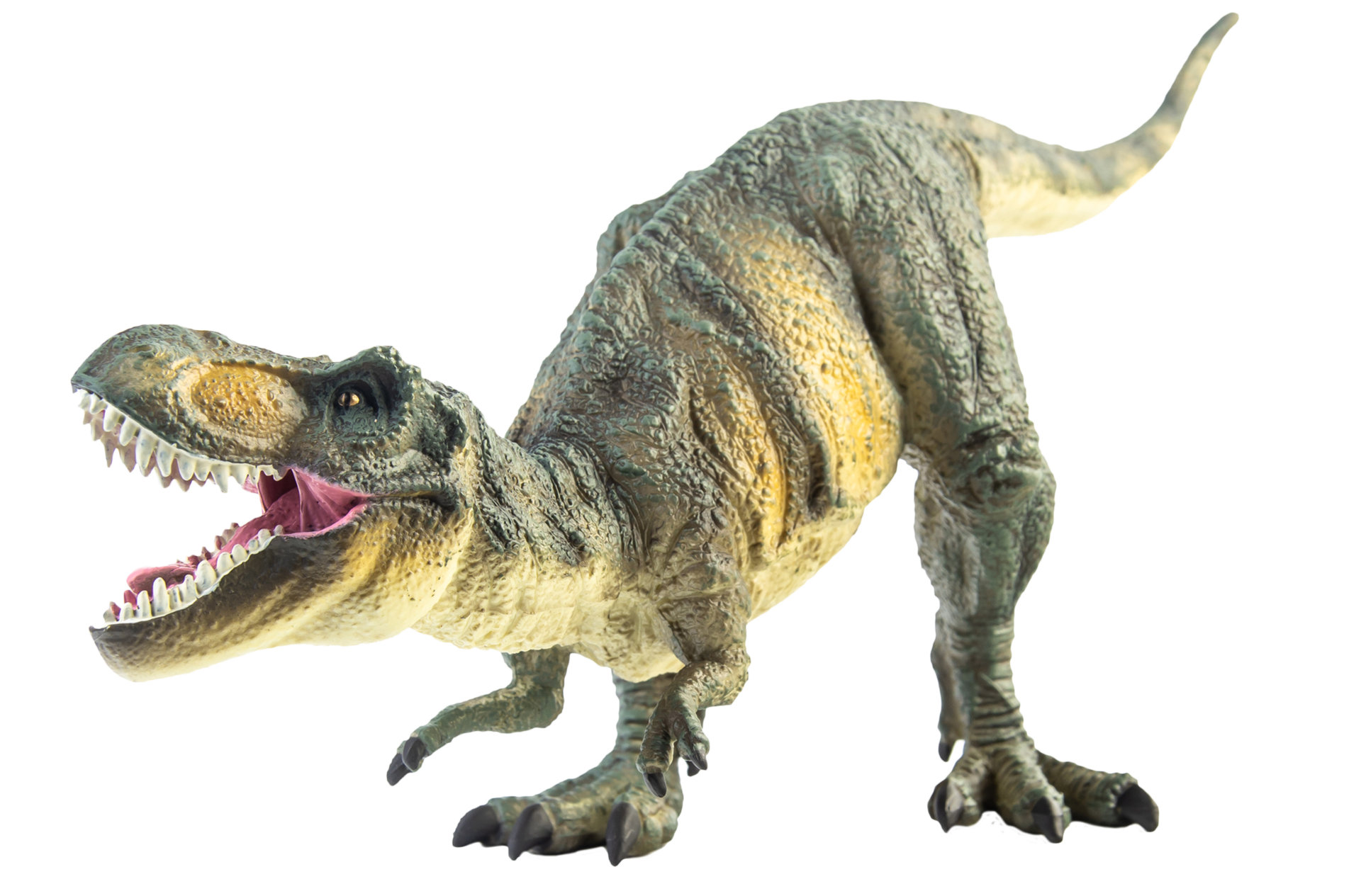 T Rex,tyrannosaurus Rex Png, T Rex Dinosaur Png ,dinosaur Png, Cool T Rex Png, Dino Png ,T Rex ...