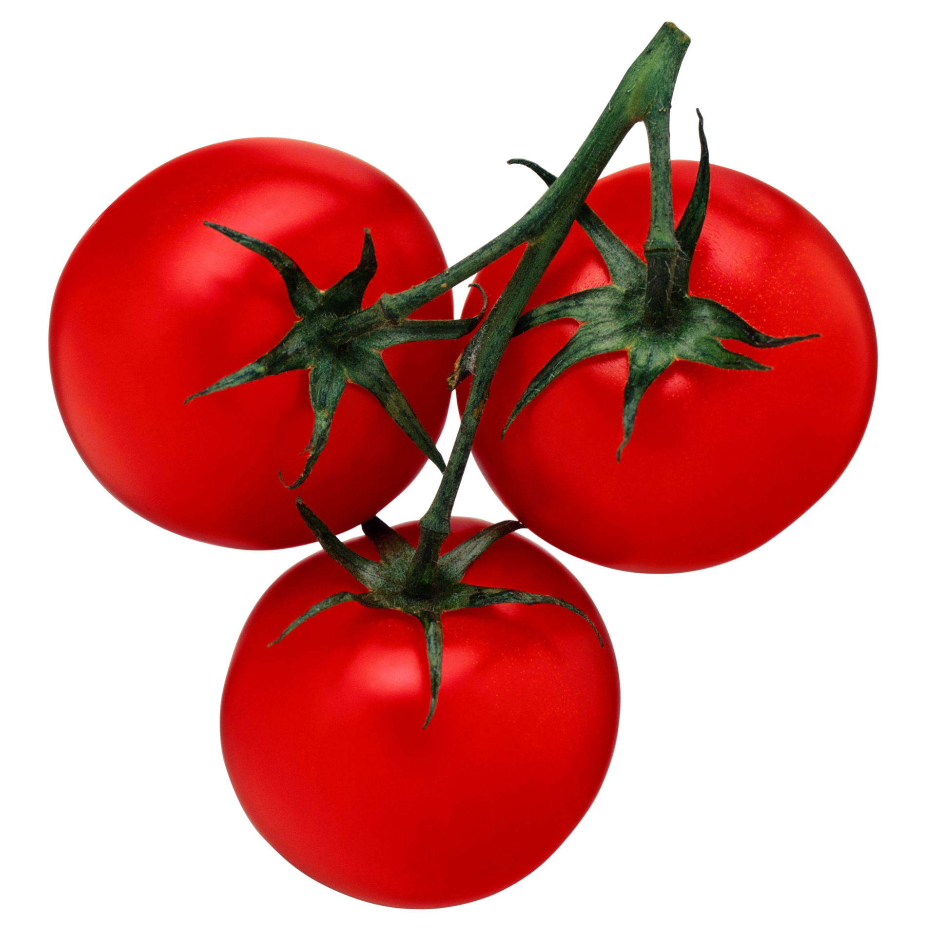 Vegetables PNG Free Images with Transparent Background - (3,868 Free Downloads)