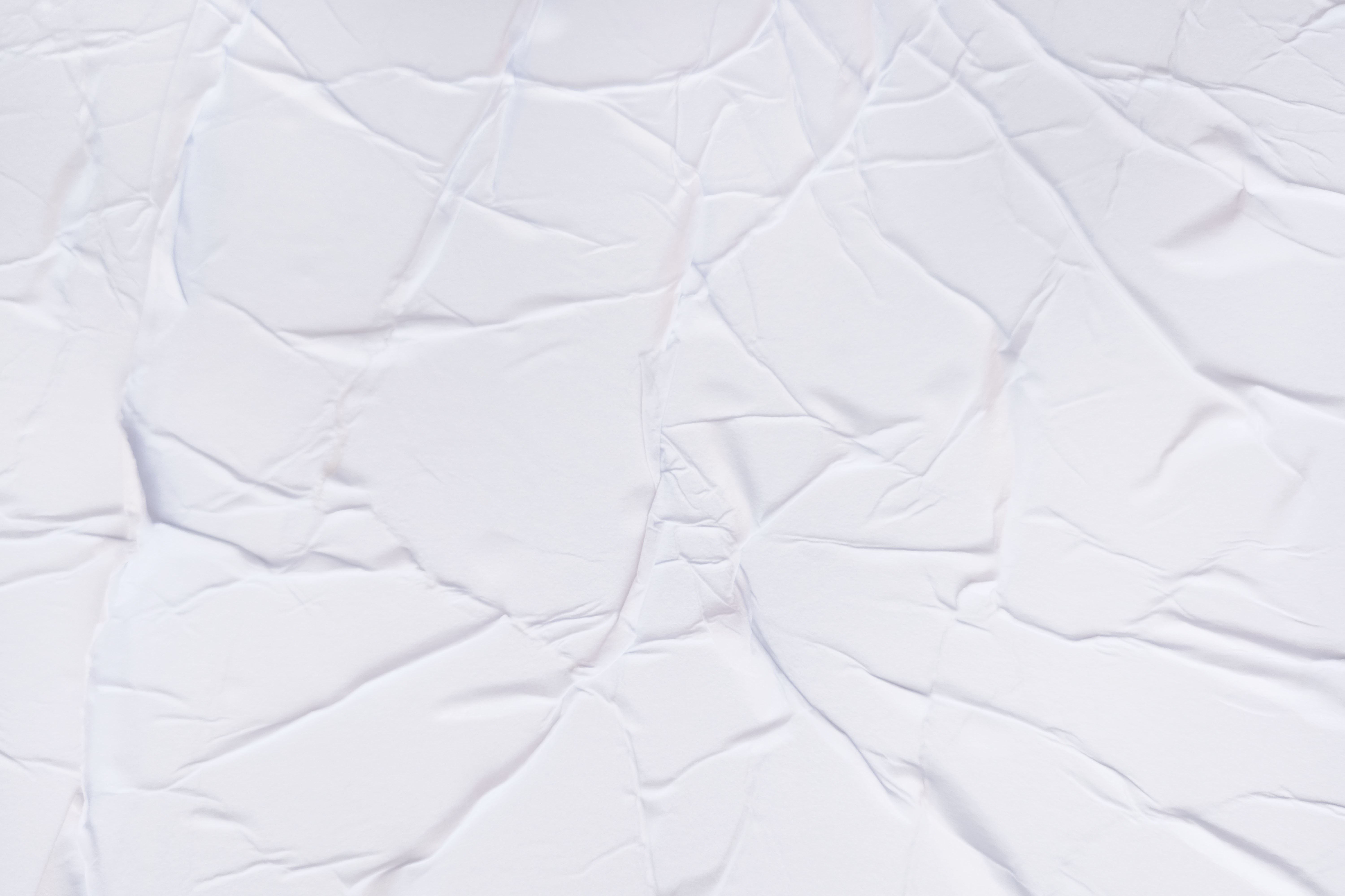 Wet Cardboard Stock Photos, Images and Backgrounds for Free Download