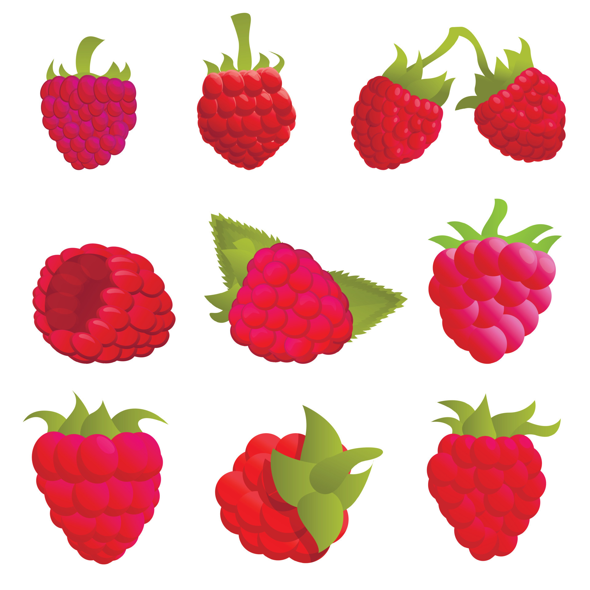 Raspberry icons set, cartoon style 8891793 Vector Art at Vecteezy Raspberry icons set, cartoon style 8891793 Vector Art at Vecteezy