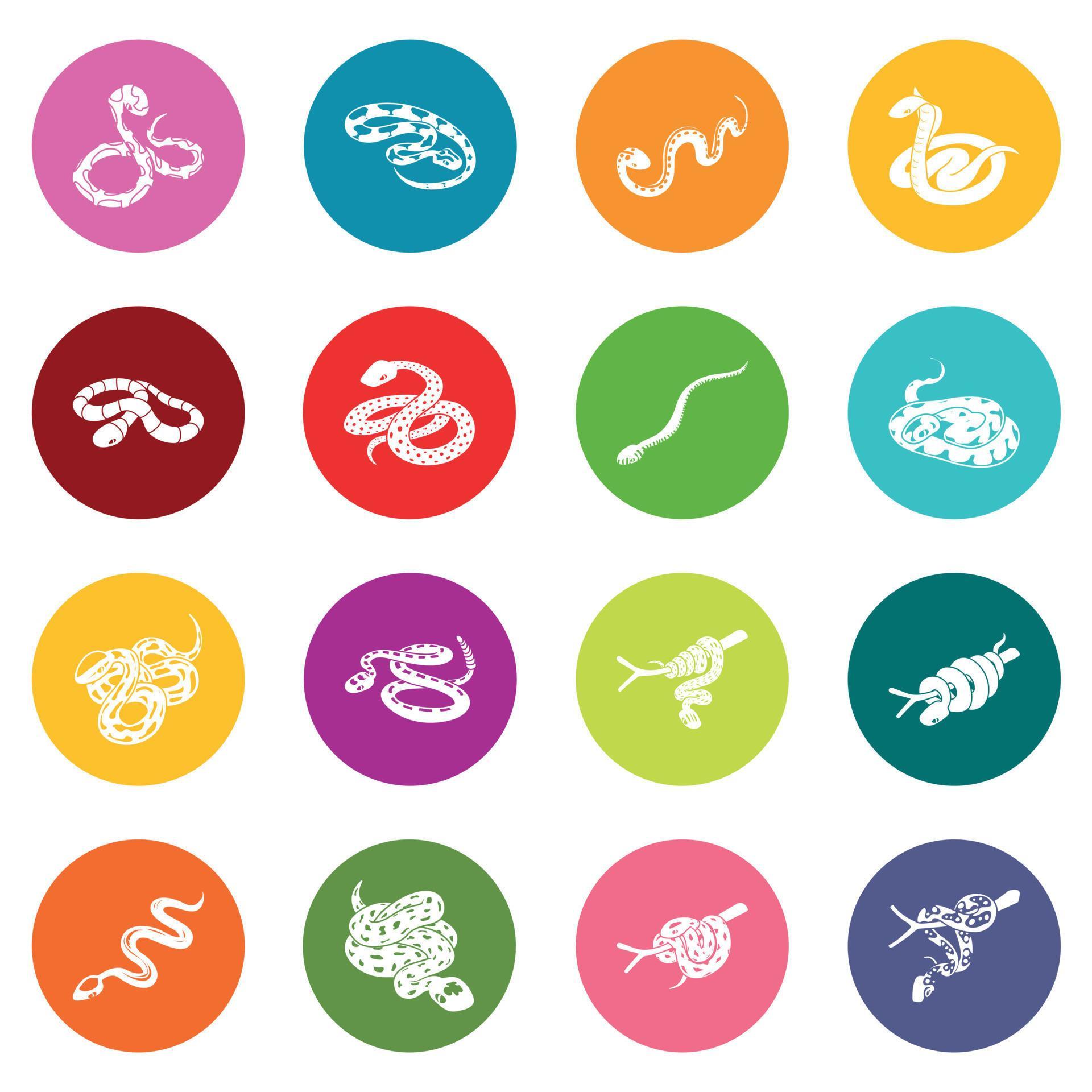 Snake icons set colorful circles vector 8940259 Vector Art at Vecteezy