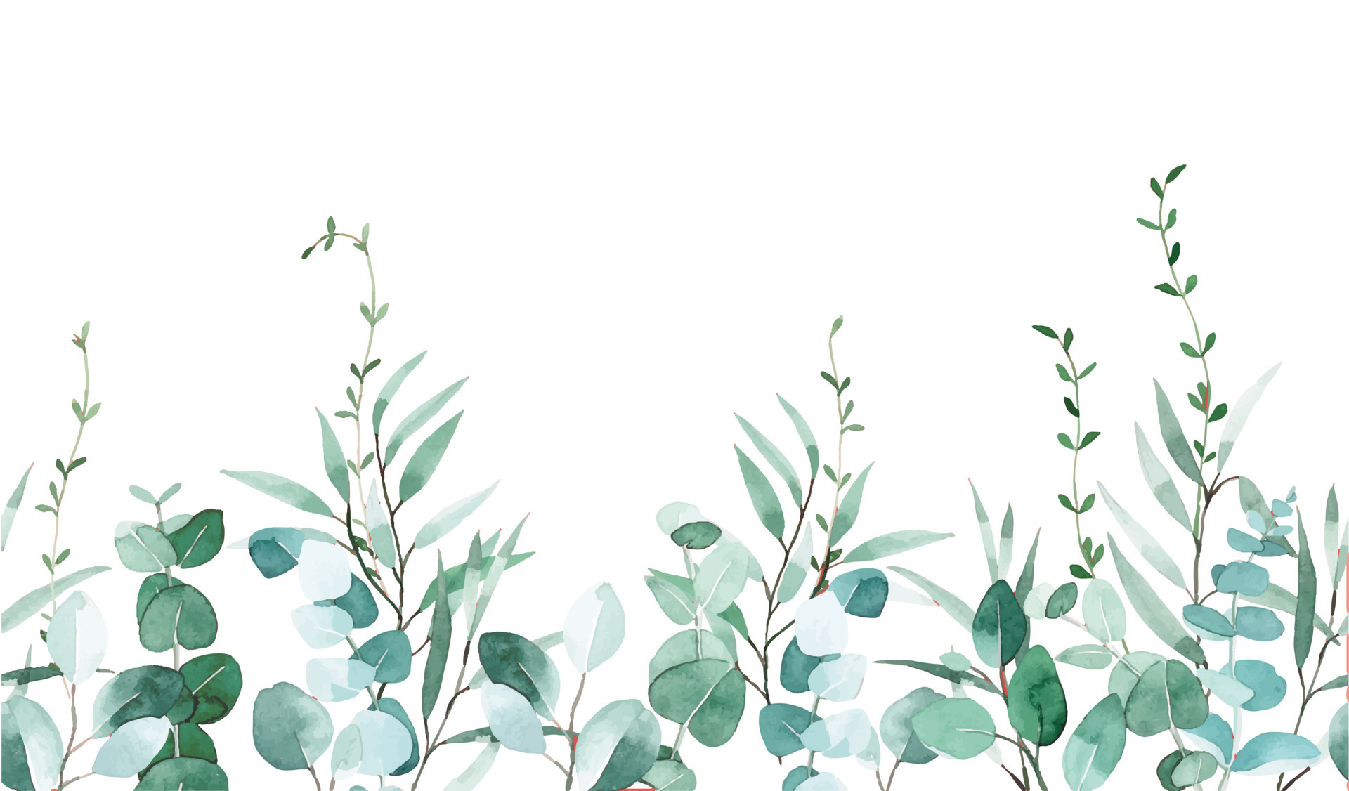 watercolor drawing.seamless border, frame of eucalyptus leaves ... watercolor drawing.seamless border, frame of eucalyptus leaves ...