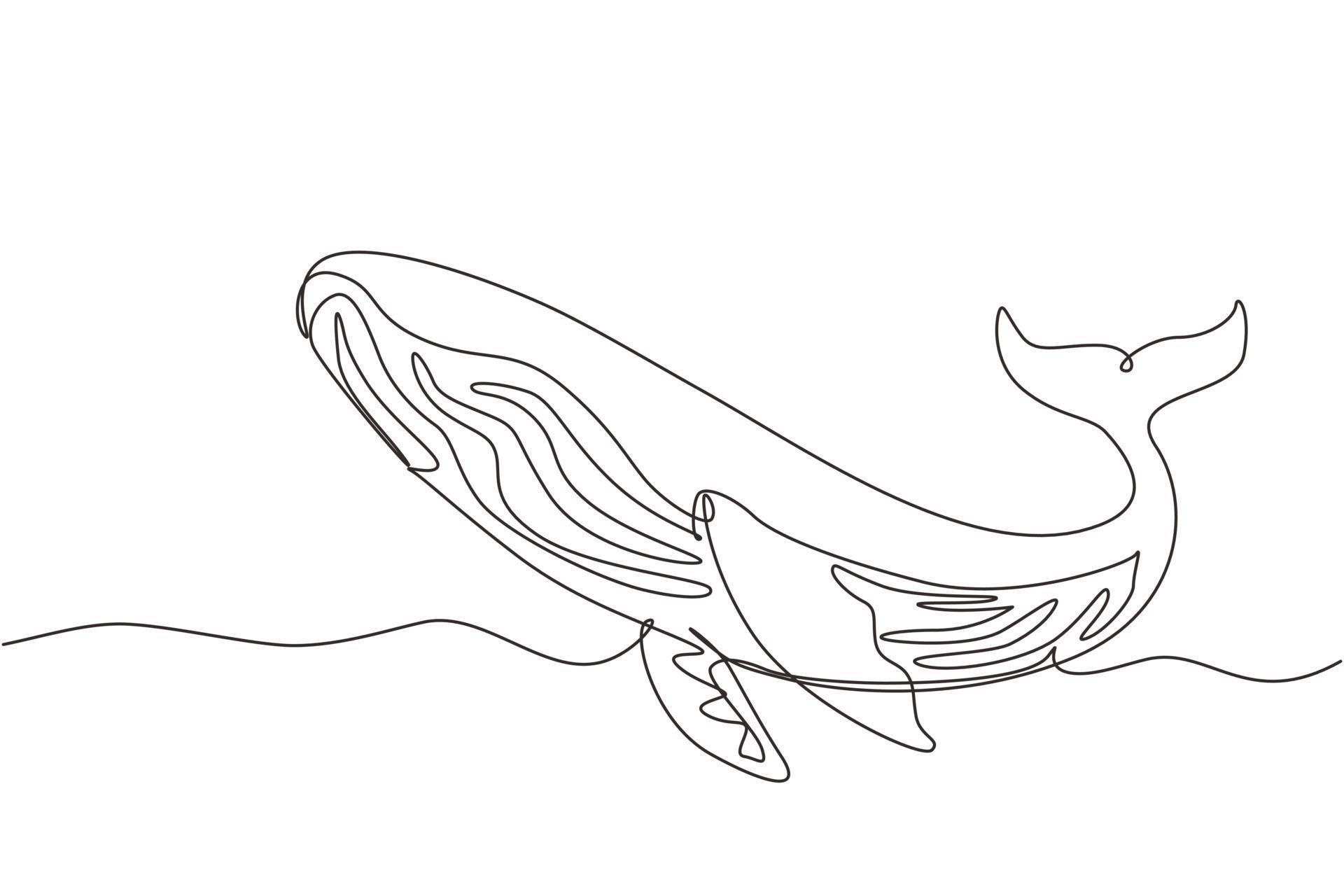 Continuous one line drawing wild whale fish swimming in sea life ...