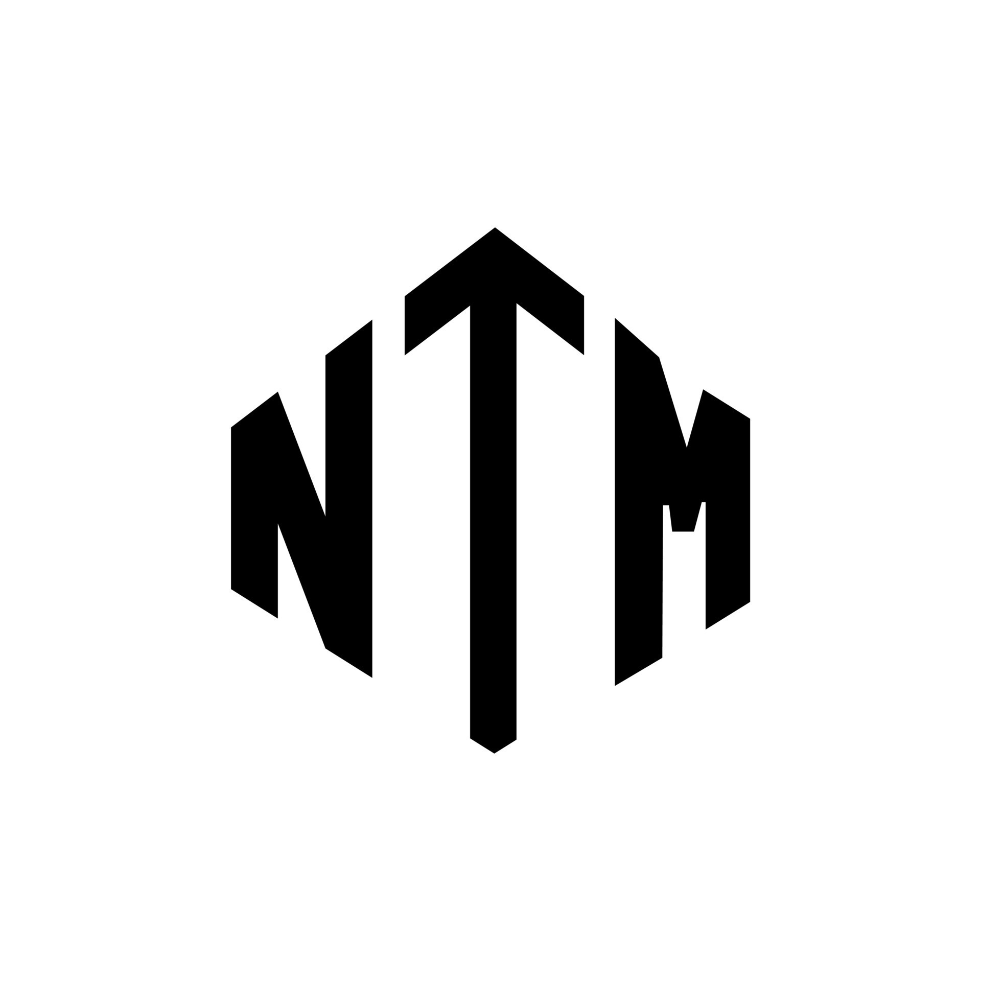diseño de logotipo de letra ntm con forma de polígono. diseño de logotipo en forma de cubo y ...