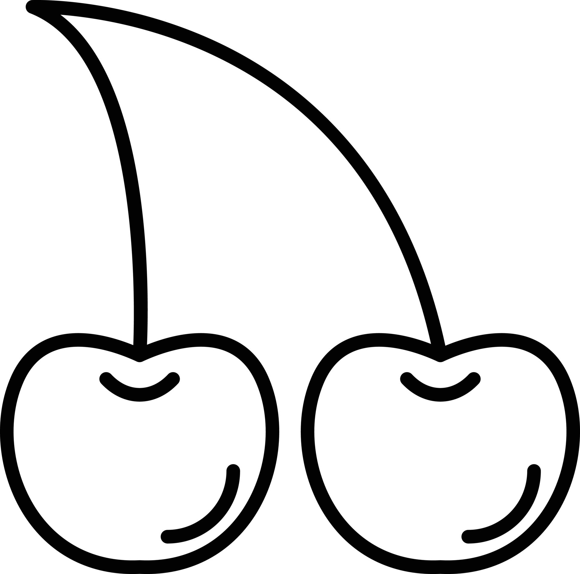 Cherry Outline Icon 9244658 Vector Art at Vecteezy