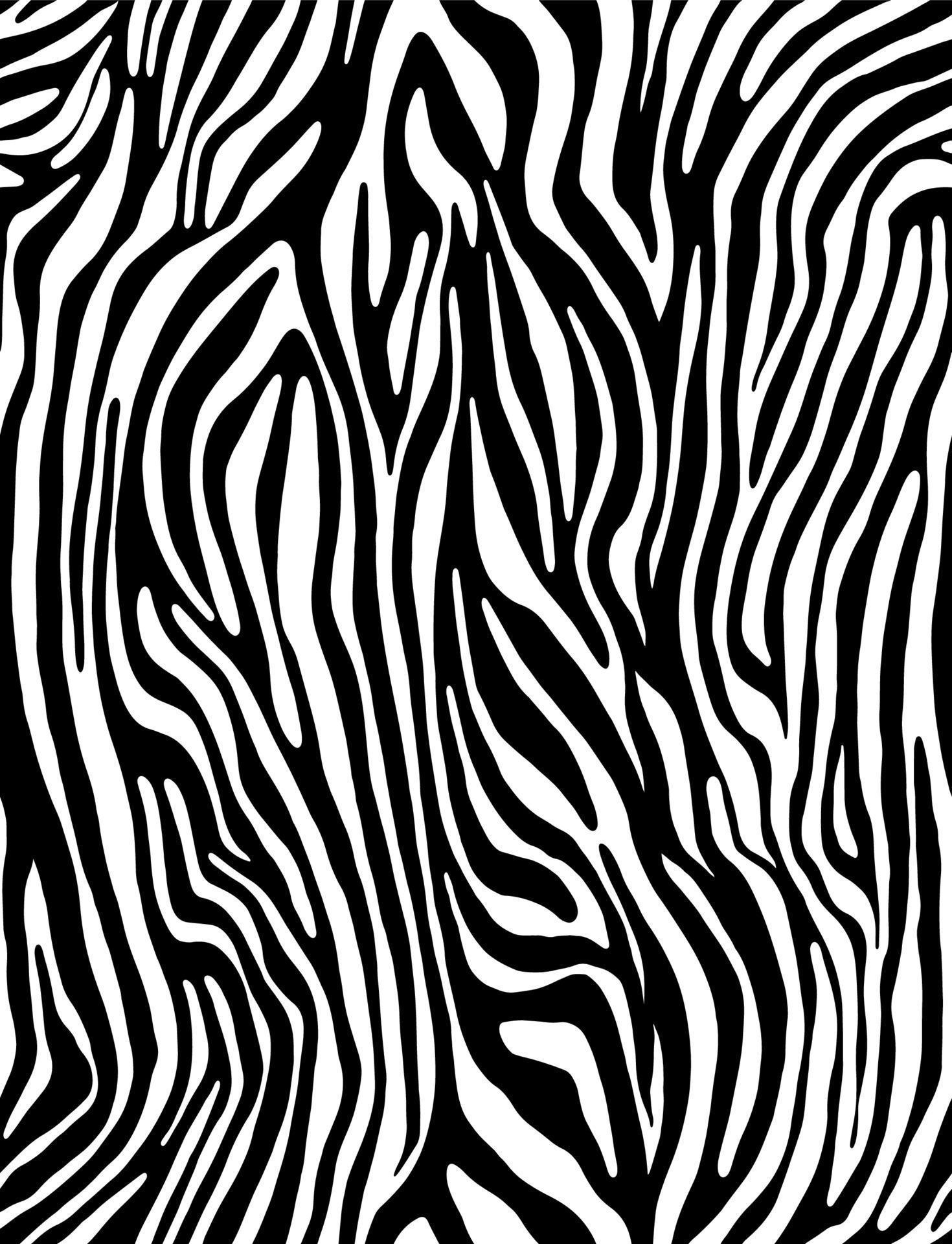 Vector animal print. Zebra ornament. Seamless pattern 9262187 Vector ...