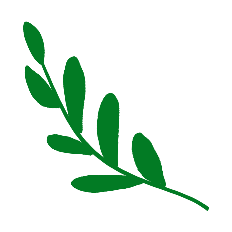Leaf Icon Design 9267363 PNG Leaf Icon Design 9267363 PNG