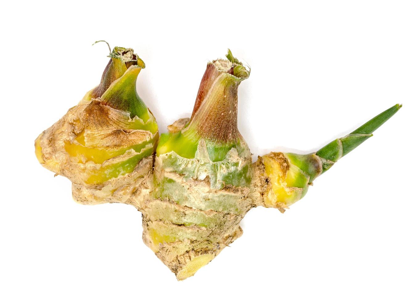 closeup fresh ginger isolated on white background 9272289 Stock Photo ...